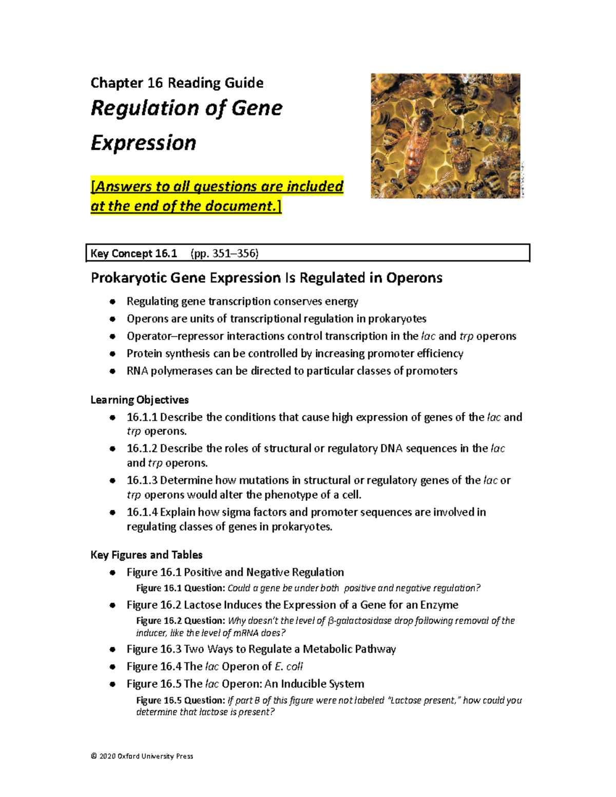 Chapter 16 Study Guide - foundations of biology 2- gene regulation and ...