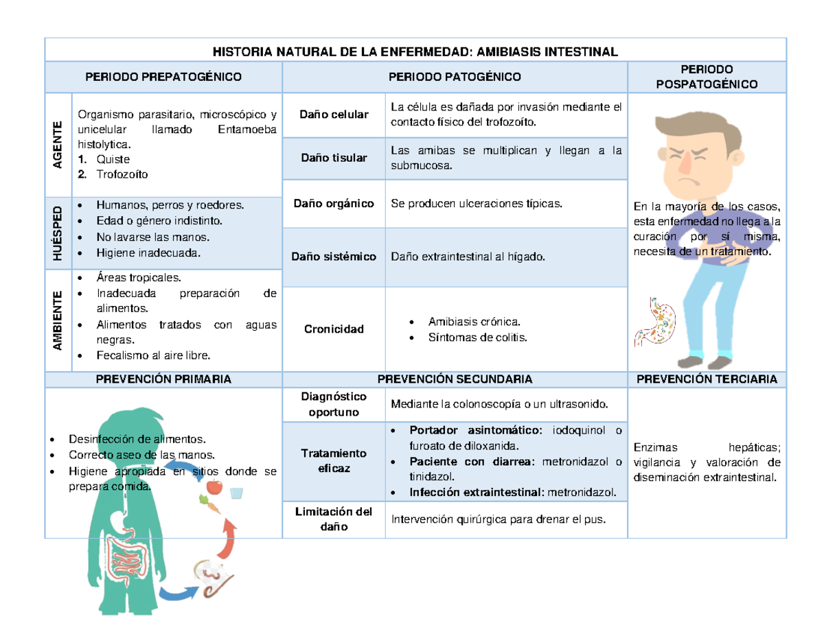 Diagrama - Historia natural de la amibiasis intestinal - HISTORIA ...