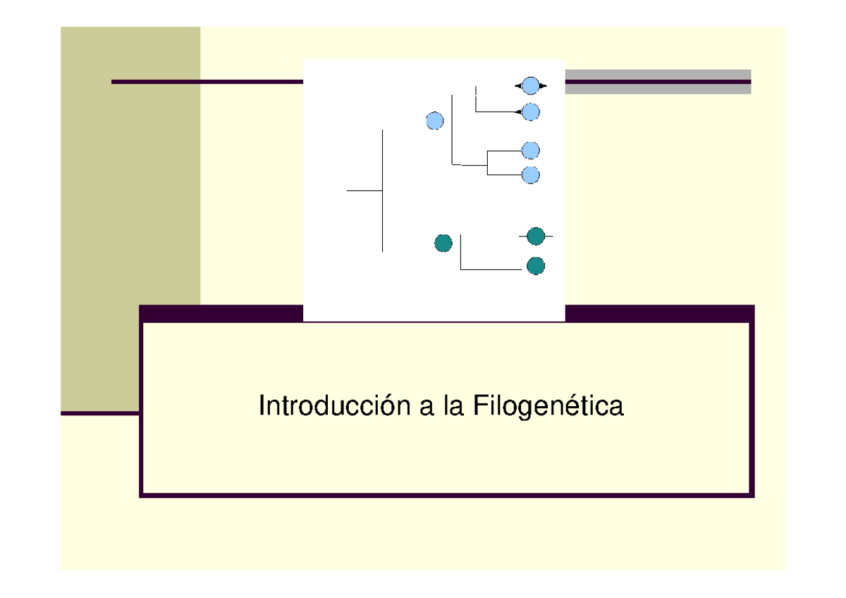 Introducción a la Filogenética "Zoología" - Introducción a la ...