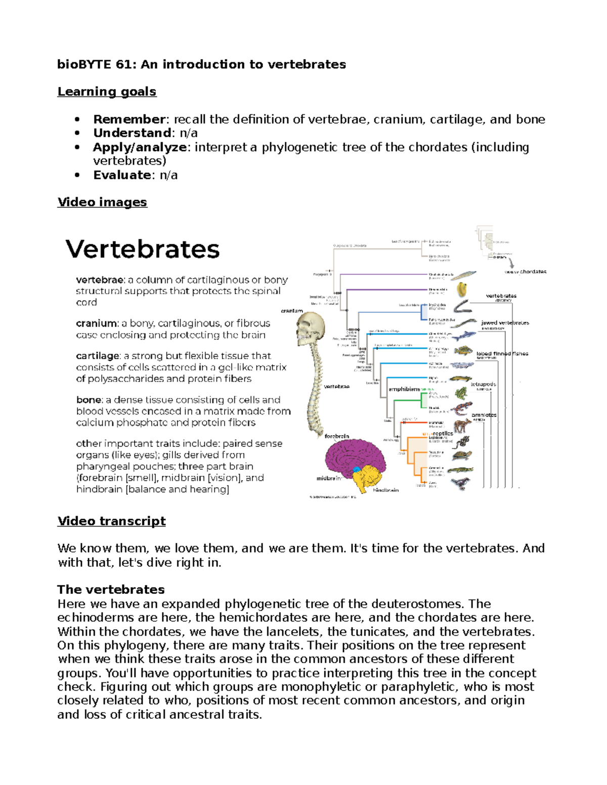 1802.Notes guide.bio BYTE 61 - bioBYTE 61: An introduction to ...