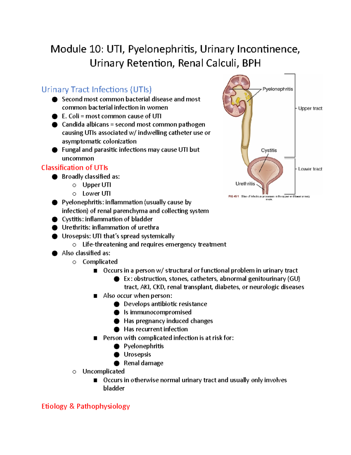 Module 10 - UTI, Pyelonephritis, Urinary Incontinence, Urinary ...