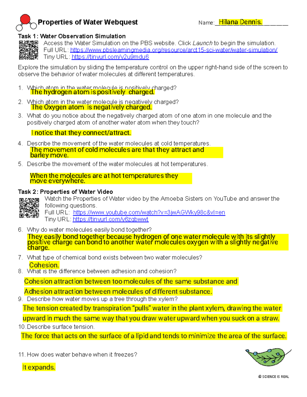 Kami Export - sammy green - Handout Properties of Water Webquest ...