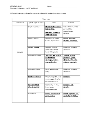 Muscle, origins, insertions, and functions - Muscle – Axial Face and ...