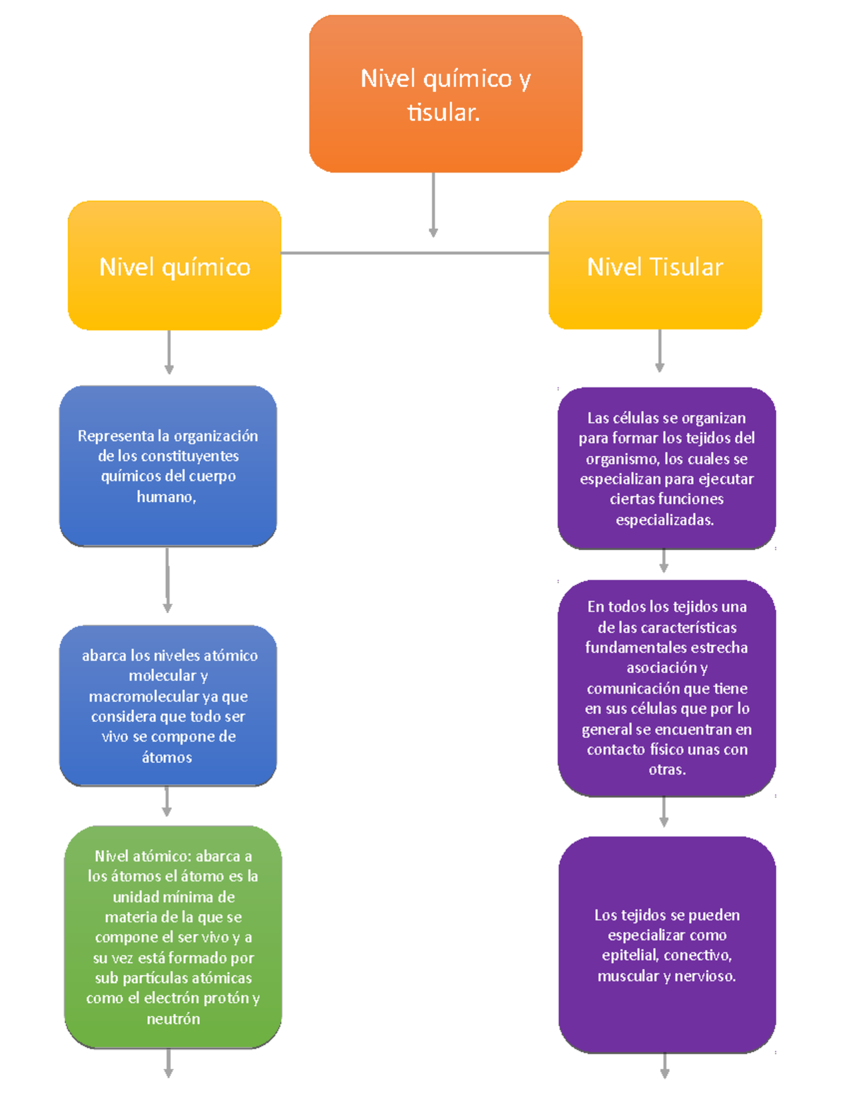 Nivel quimico y tisular - Los tejidos se pueden especializar como ...