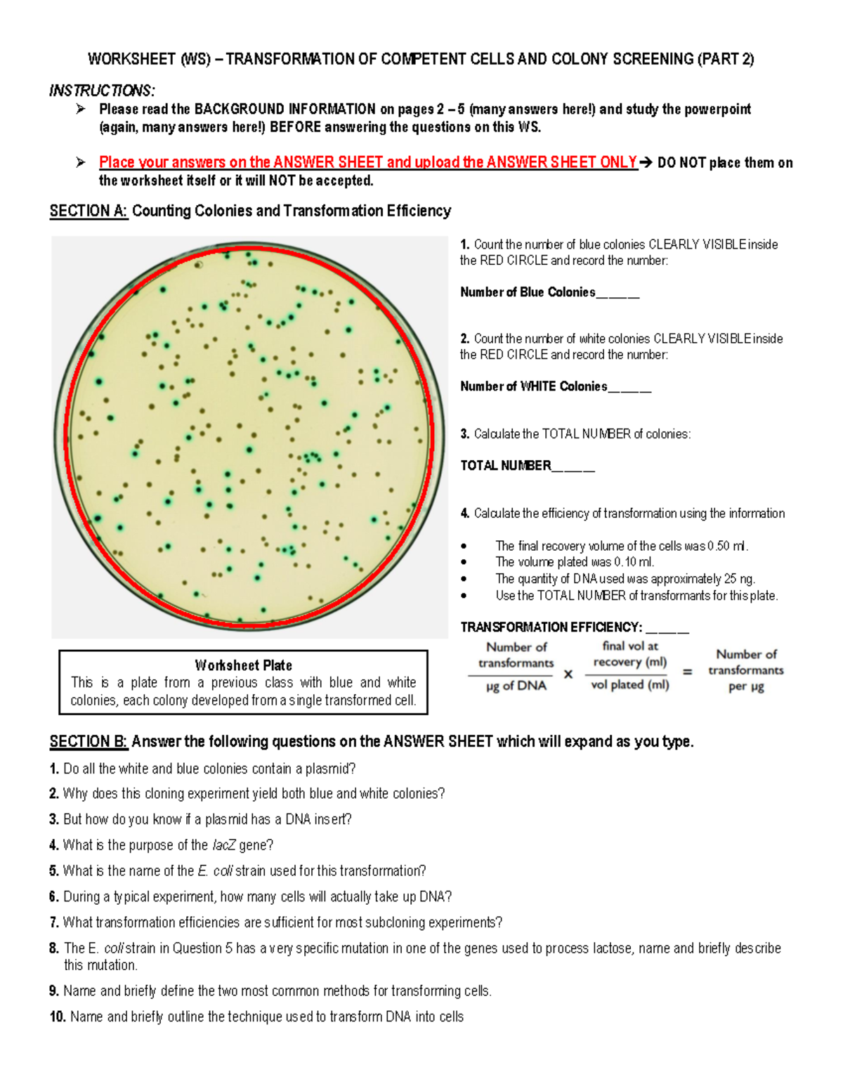 Transformation worksheet 2 - WORKSHEET (WS) – TRANSFORMATION OF ...