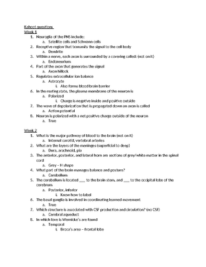 The Central Nervous System Lab 2 Notes - The Central Nervous System The ...
