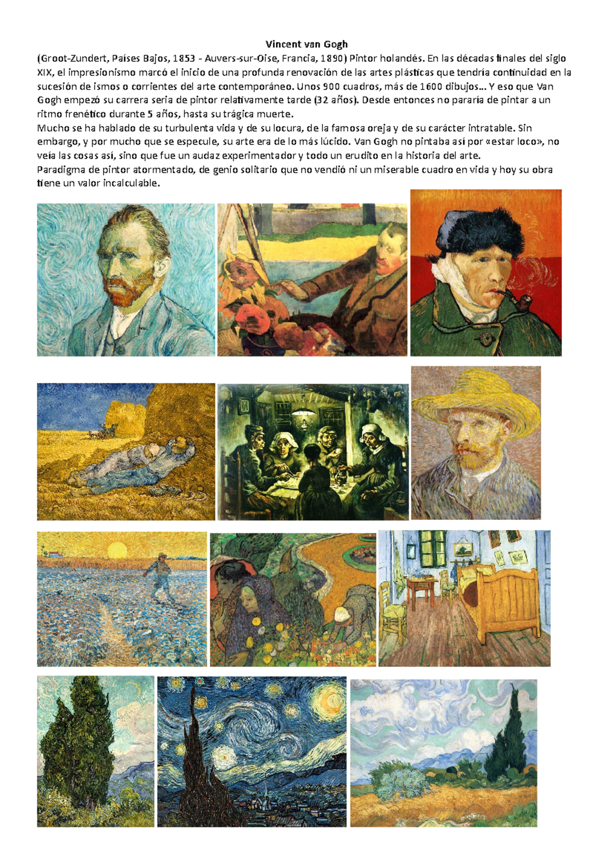 Vincent van Gogh biografia - Vincent van Gogh (Groot-Zundert, Países ...