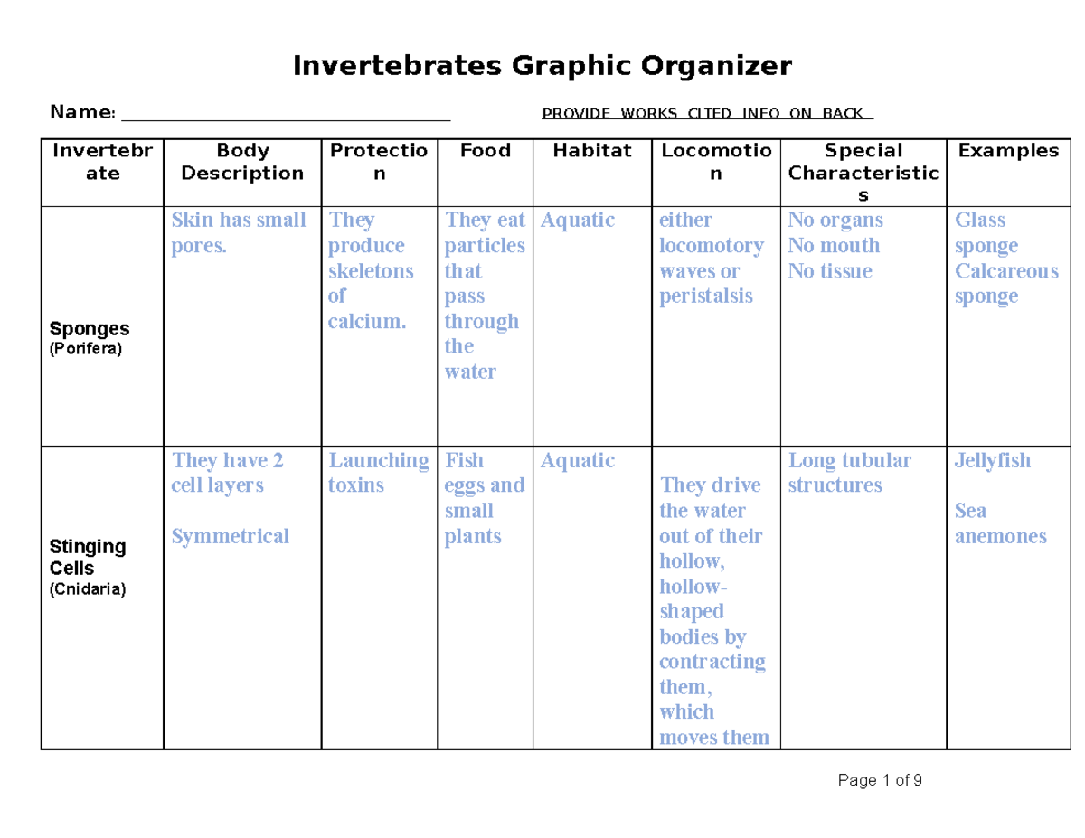 Graphic Organizer - Name ...