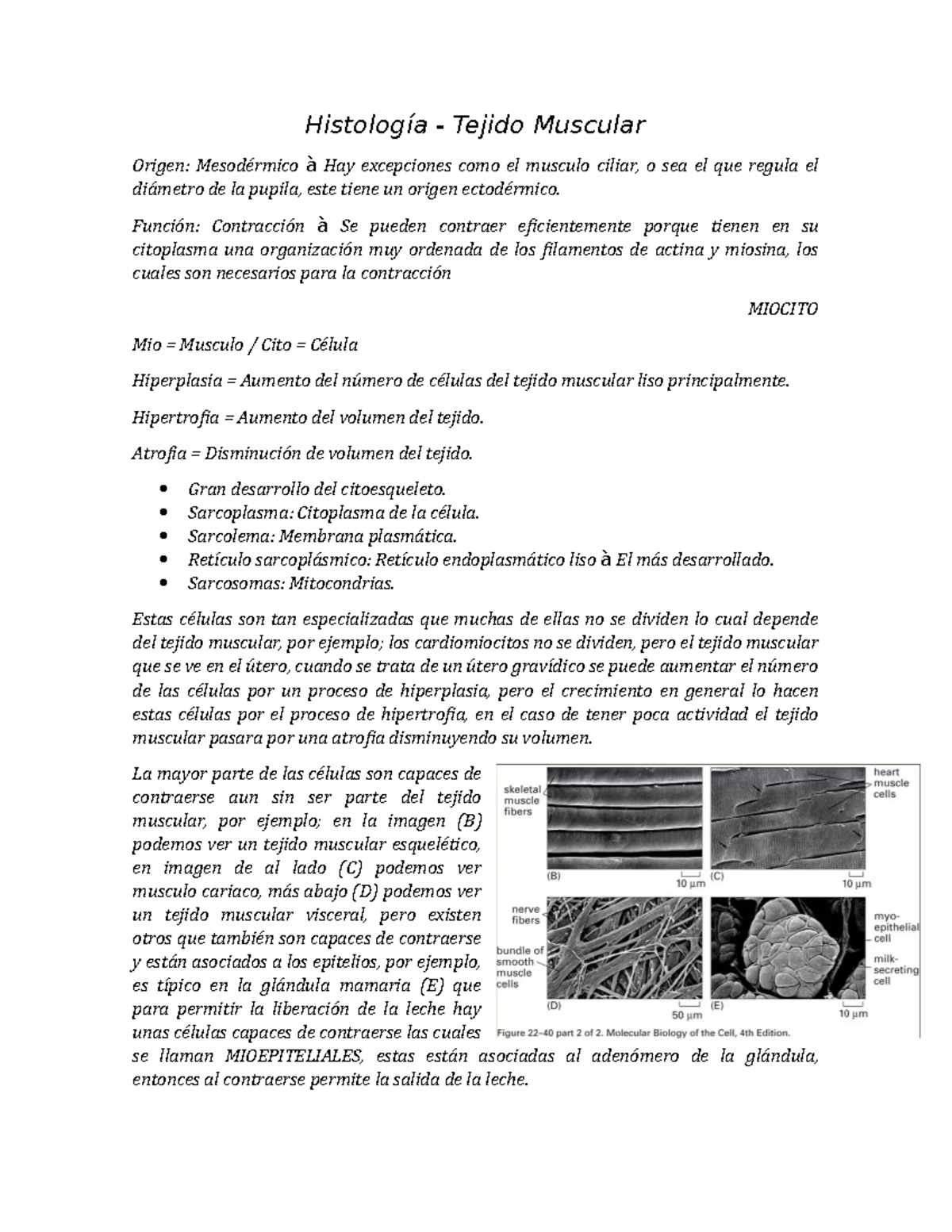 Histologia - Tejido muscular - Histología - Tejido Muscular Origen ...