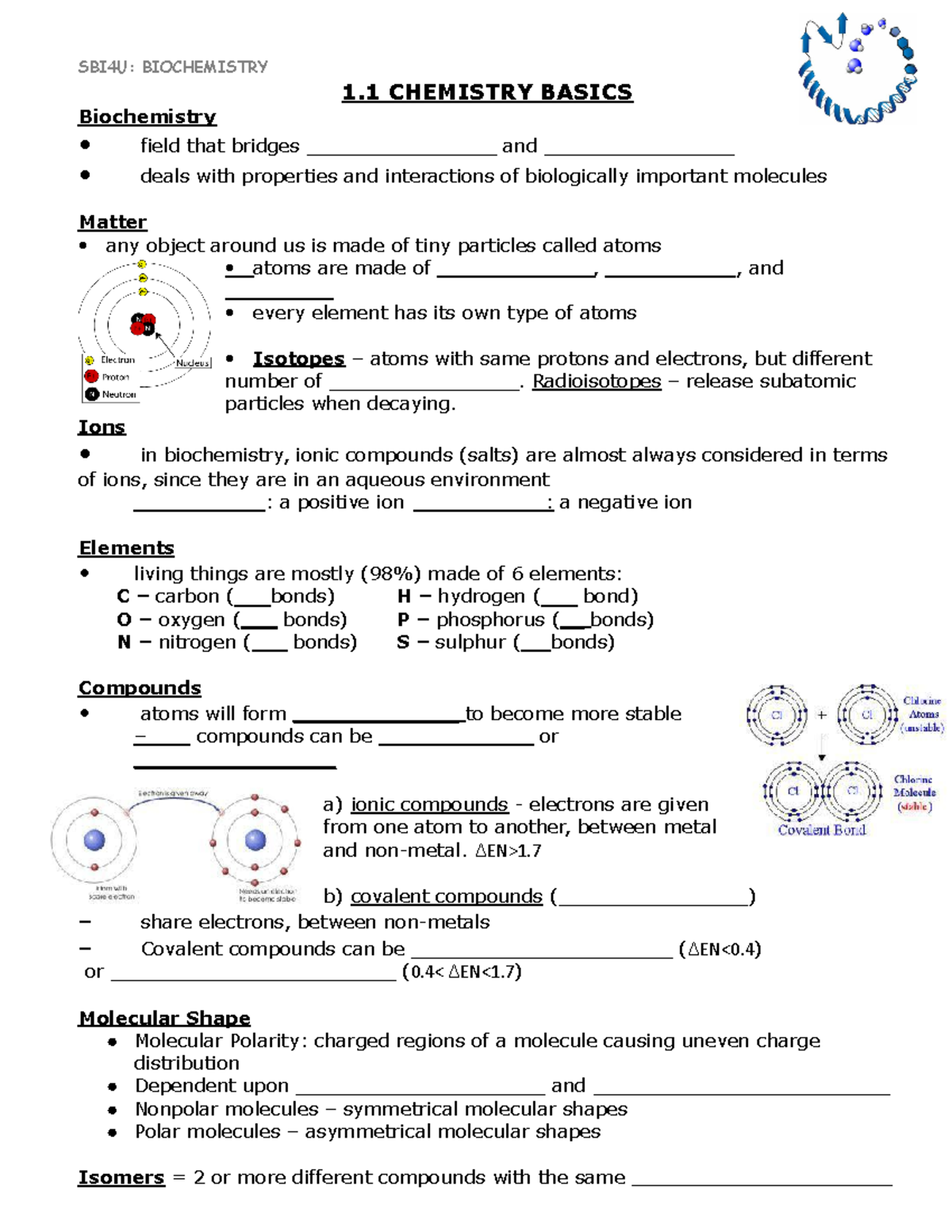 B1-B2 1.1 Chem BasicsIsotopes - SBI4U: BIOCHEMISTRY 1 CHEMISTRY BASICS ...