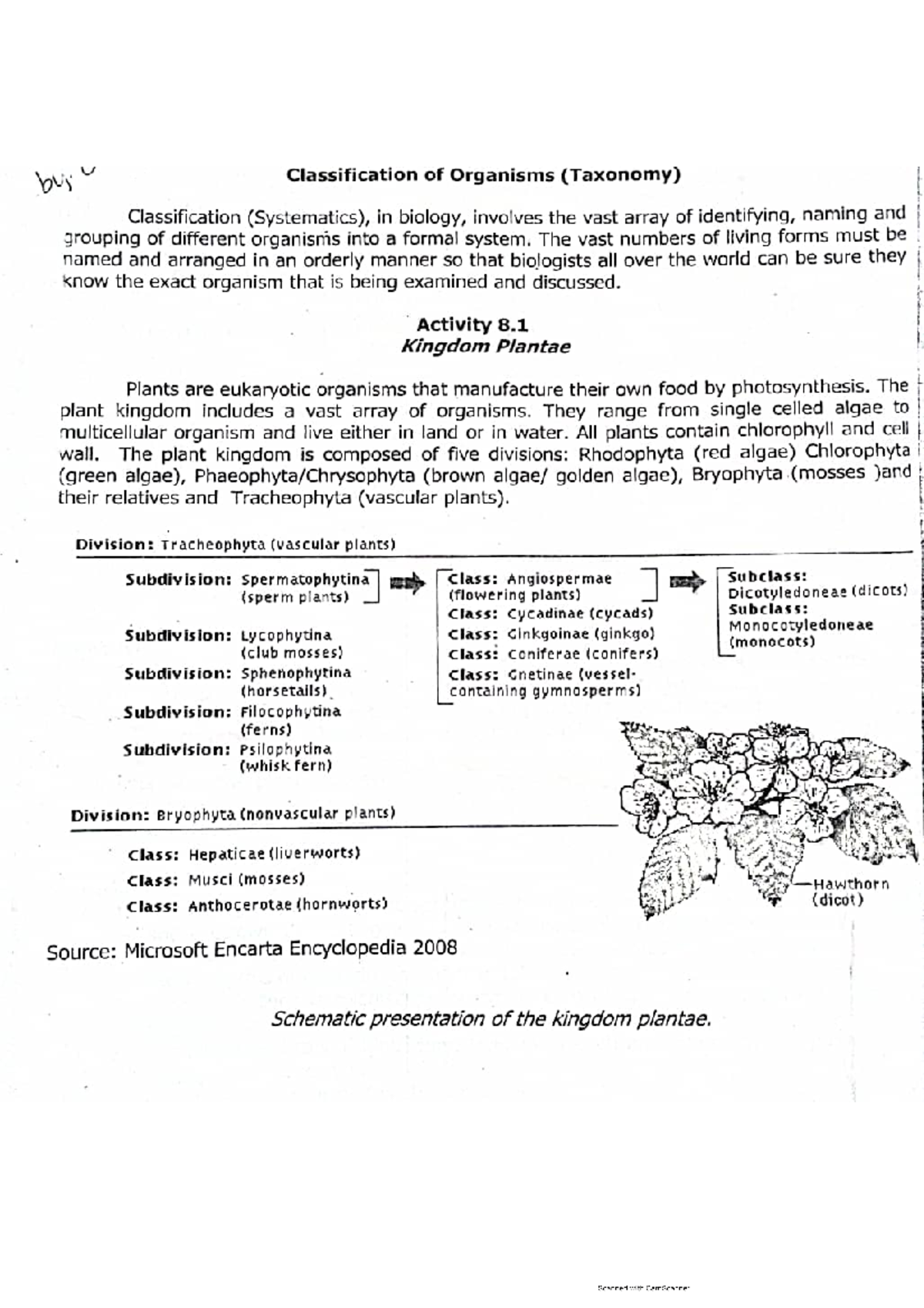 Classification of Organisms (Taxonomy) Lecture Note - Biology - Studocu