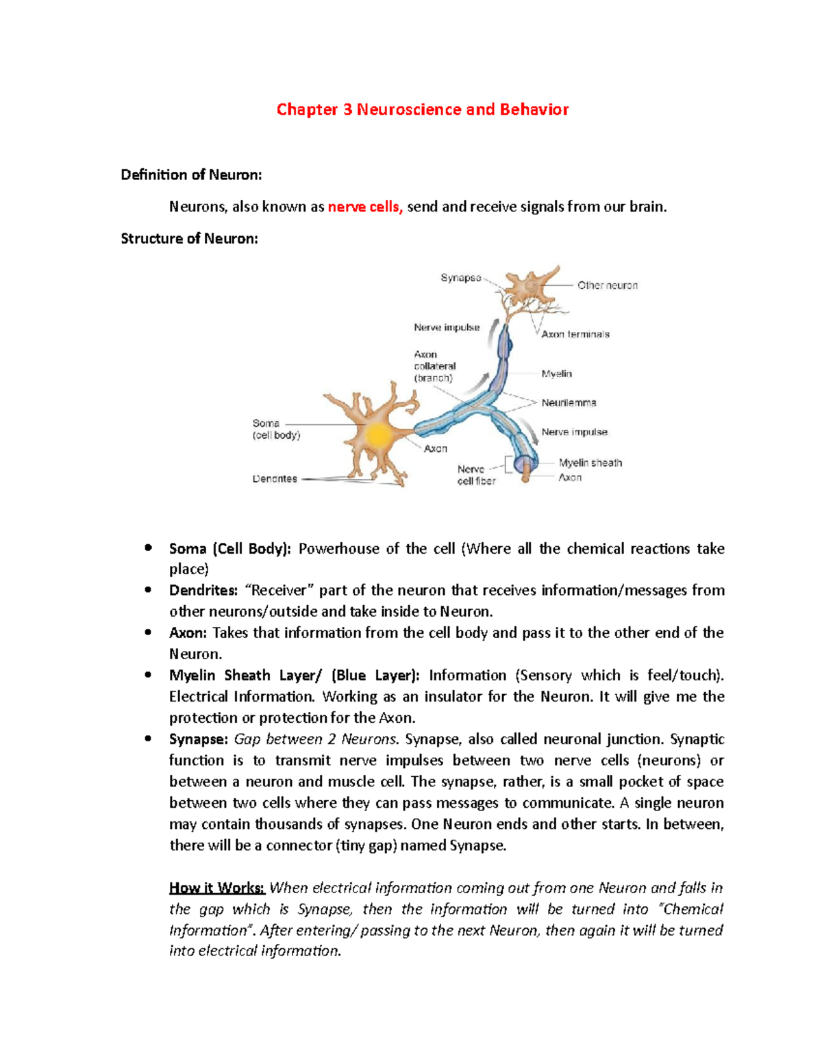Chapter 03 Notes - Chapter 3 Neuroscience and Behavior Definition of ...