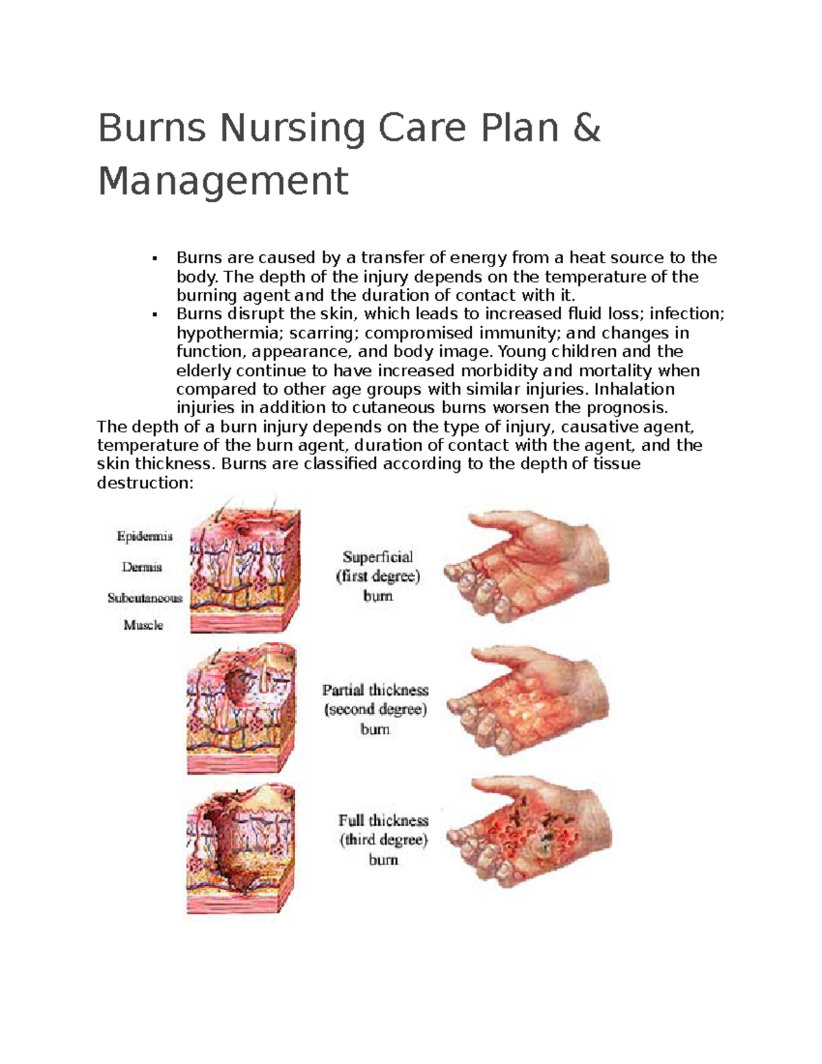 Burn Nursing Care Plan Goals at Edward Padgett blog