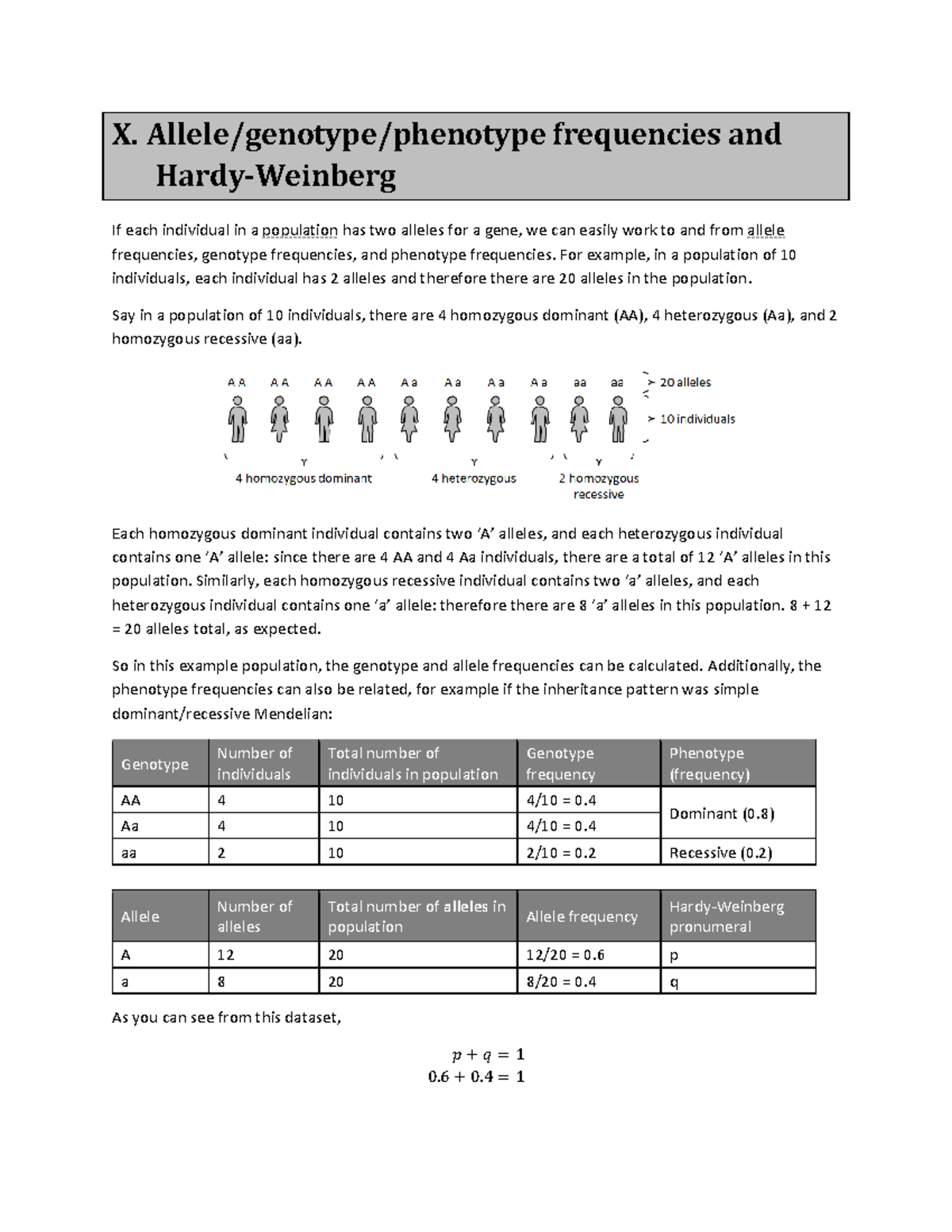 X. Allele genotype phenotype frequencies and Hardy-Weinberg - X. Allele ...
