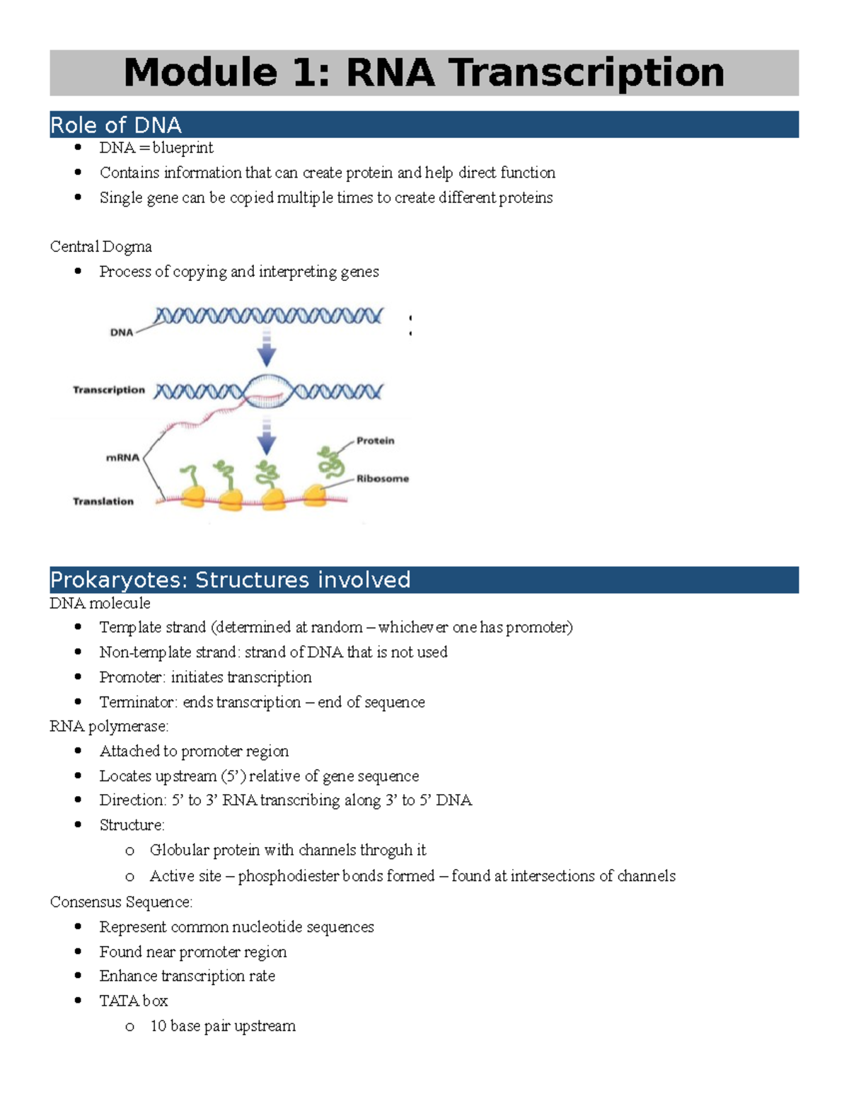 T2 - Lecture notes 2 - Module 1: RNA Transcription Role of DNA DNA ...