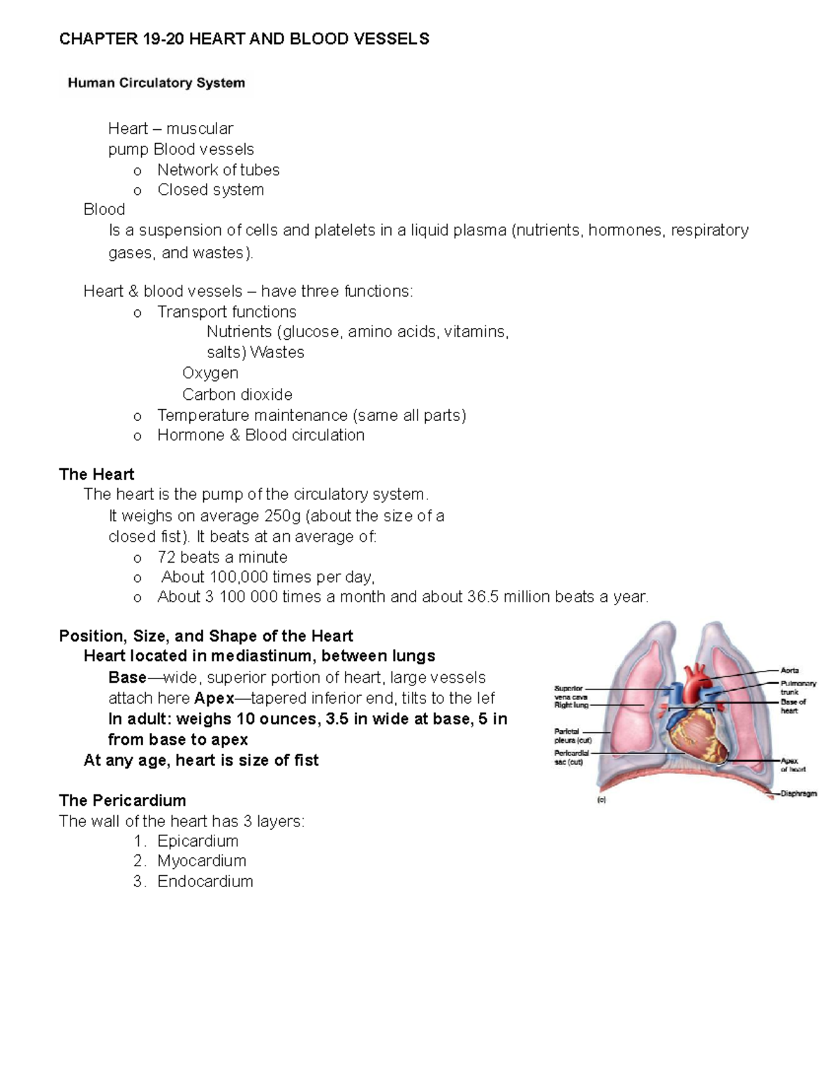 Cardiocascular System - CHAPTER 19-20 HEART AND BLOOD VESSELS Heart ...