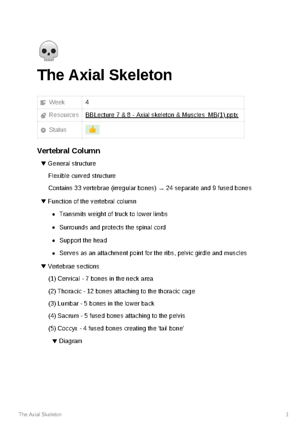 The Axial Skeleton - Lecture notes - 💀 The Axial Skeleton Week 4 ...