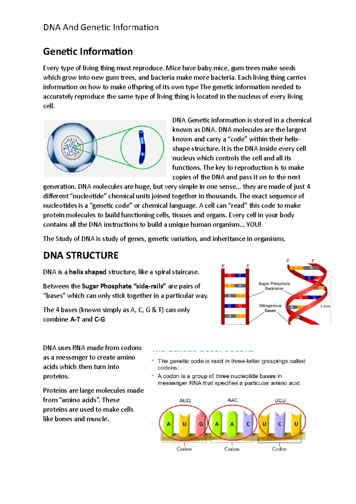 Genetics worksheet DNA - C10242v1 - Studocu