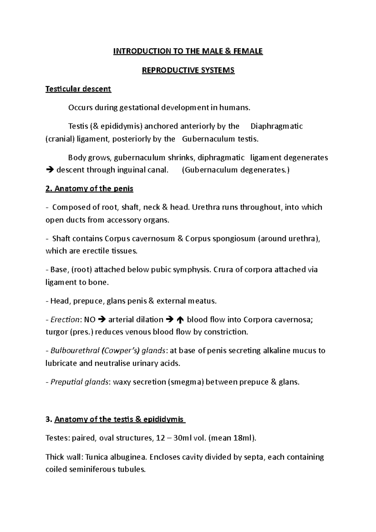 Male and female reproductive - INTRODUCTION TO THE MALE & FEMALE ...