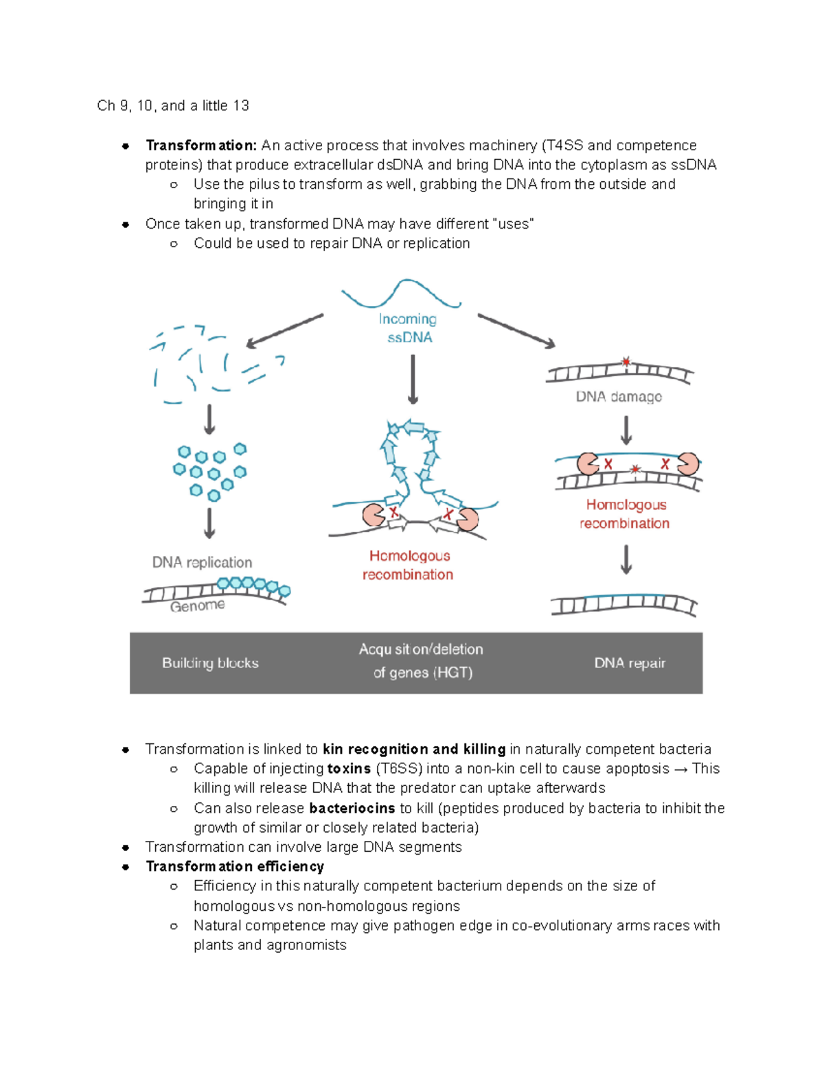 Lecture 24 Genetics of Bacteria and Archaea - Horizontal Gene Transfer ...