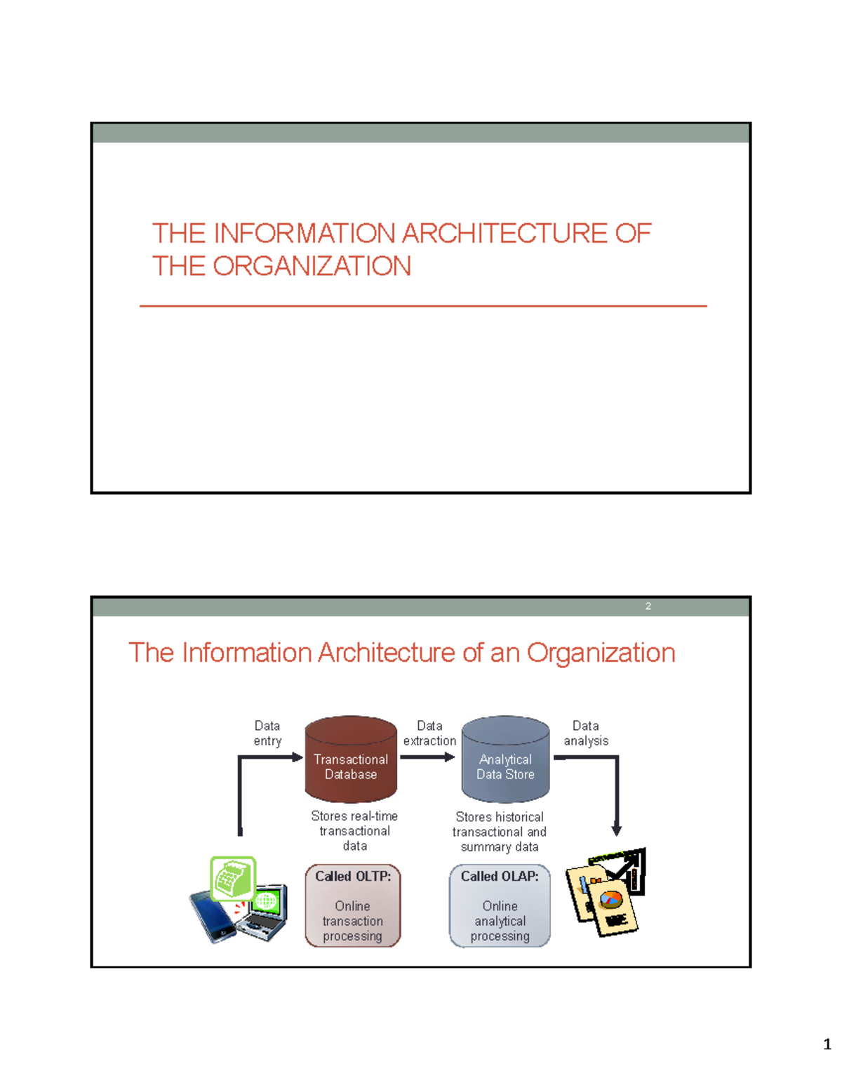 M1-4 information architecture-1 - THE INFORMATION ARCHITECTURE OF THE ...