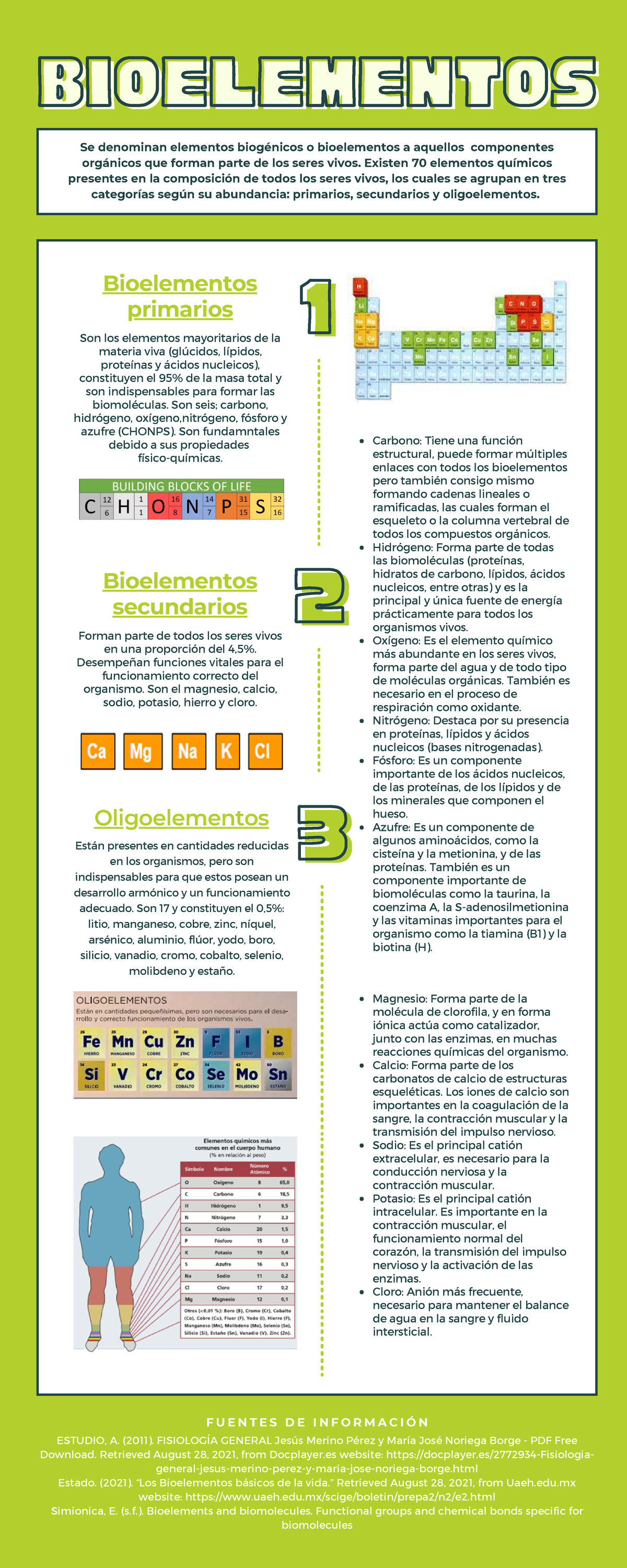 Bioelementos - 11 33 22 Bioelementos primarios Son los elementos ...