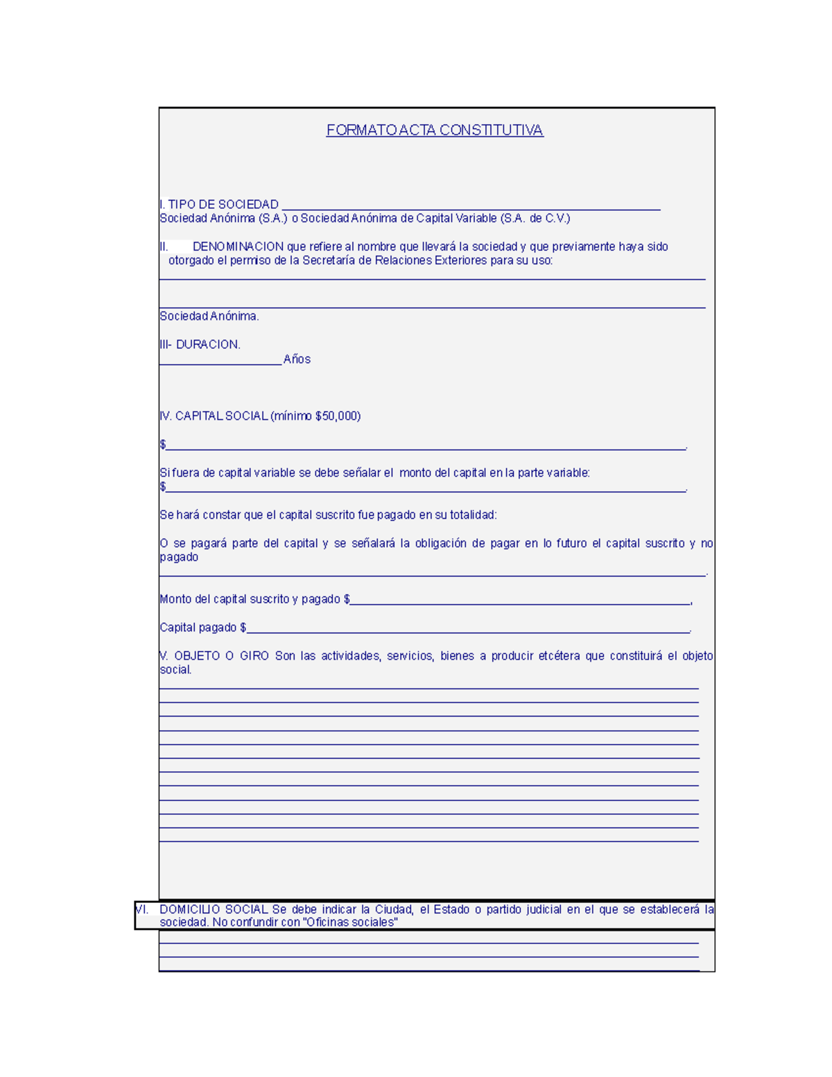 Acta Constitutiva Formato