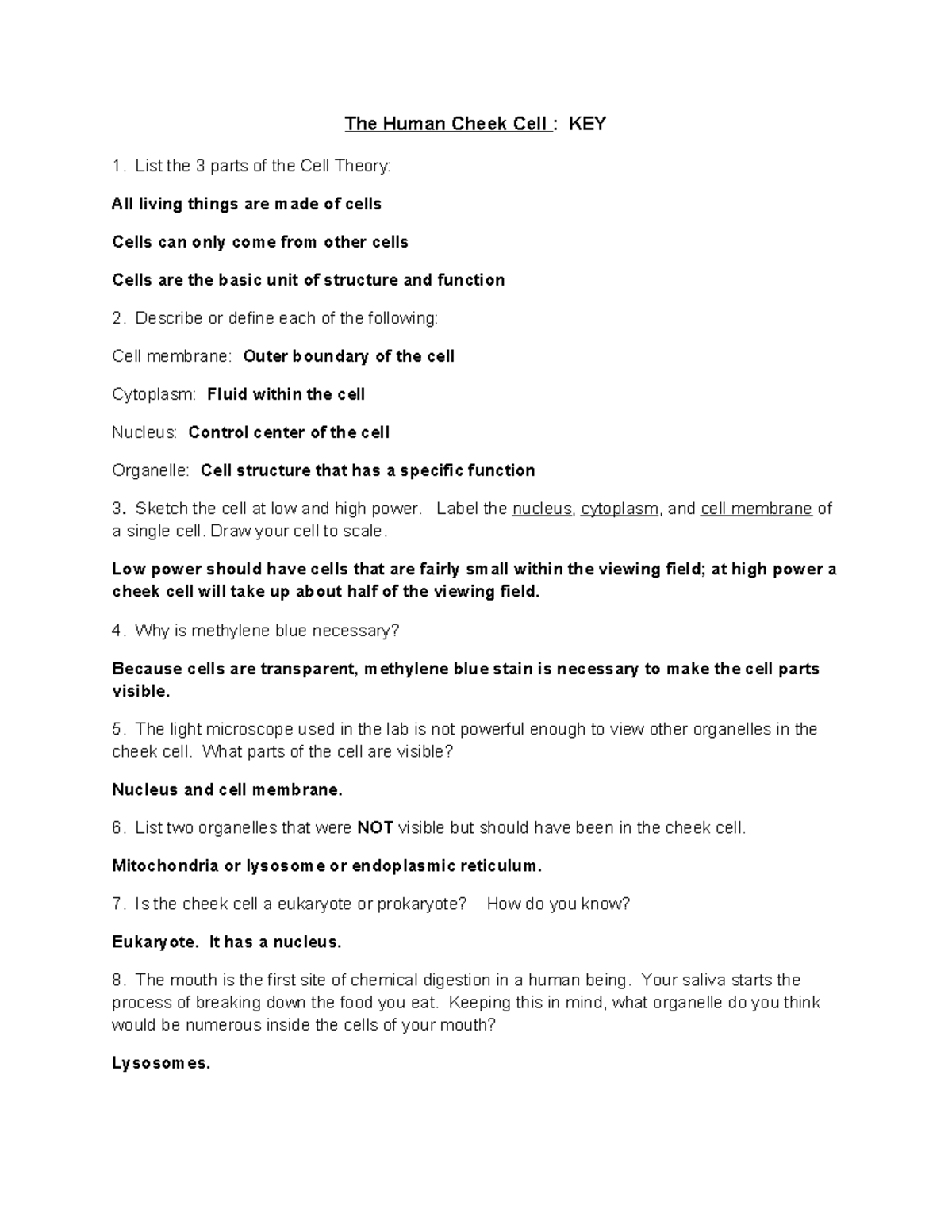 The Human Cheek Cell Answerkey - The Human Cheek Cell : KEY List the 3 ...