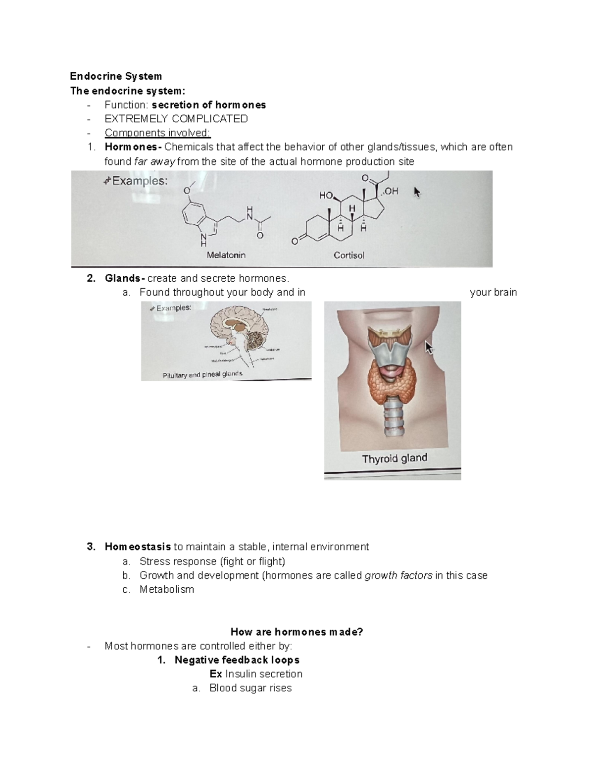 Survey of Life exam 2 - Madeline Choi - Endocrine System The endocrine ...