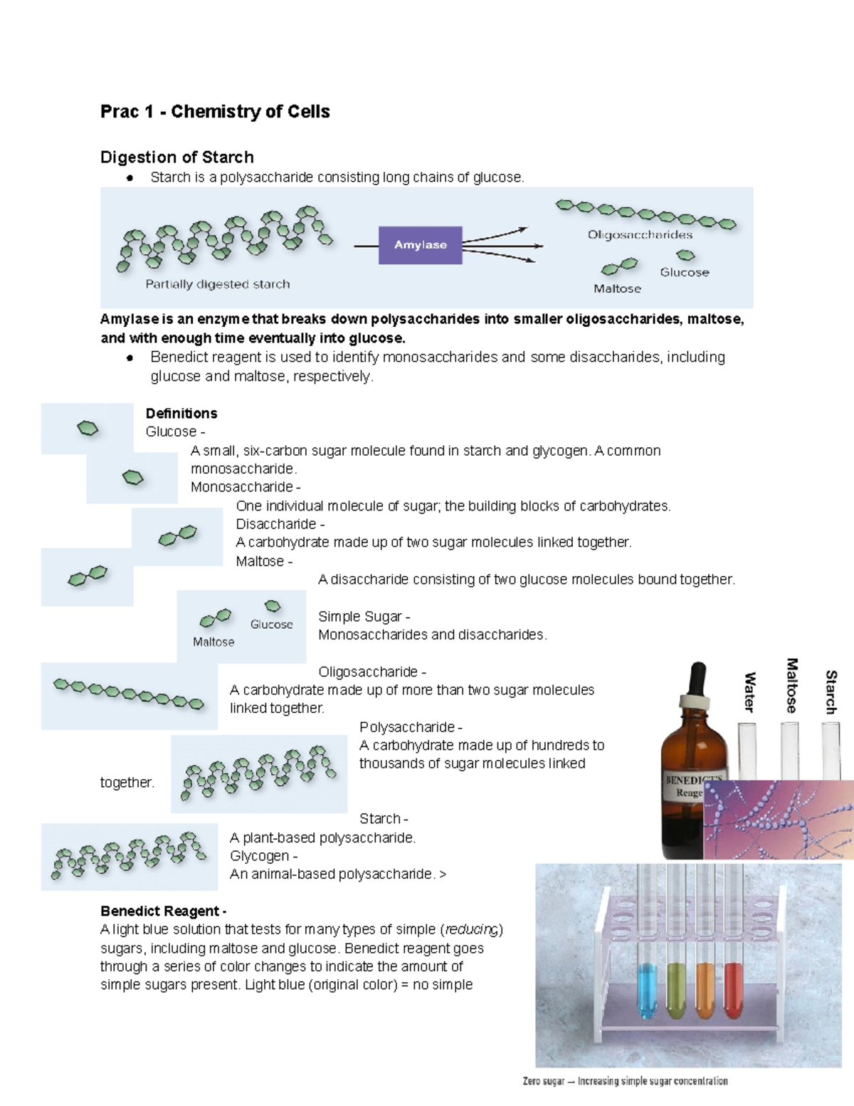 PRACTICAL 1 CHEMISTRY OF CELLS NOTES - CELL BIOLOGY 2021 - 300816 - UWS ...