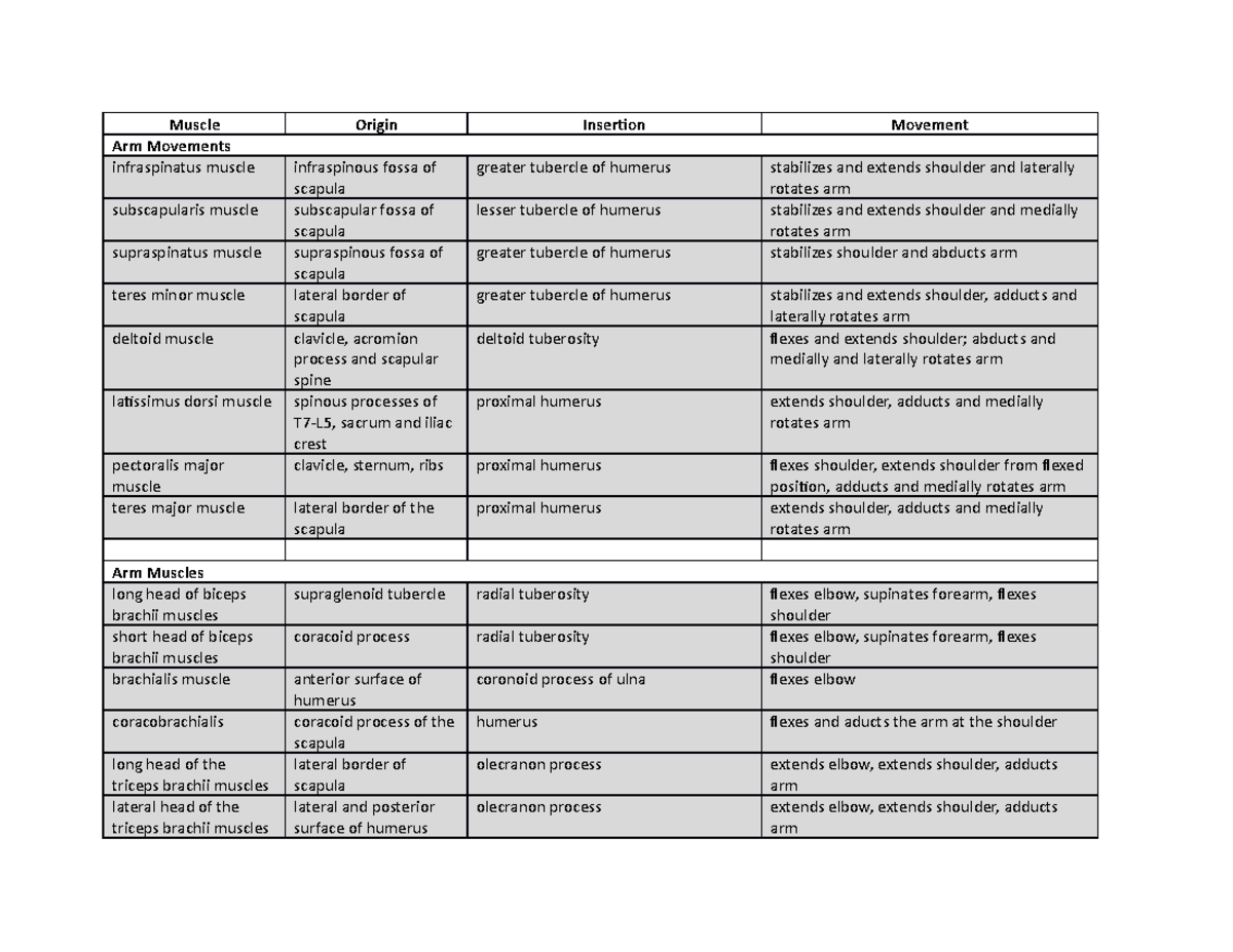 ES207 Muscle Origins and Insertions - Muscle Origin Insertion Movement ...