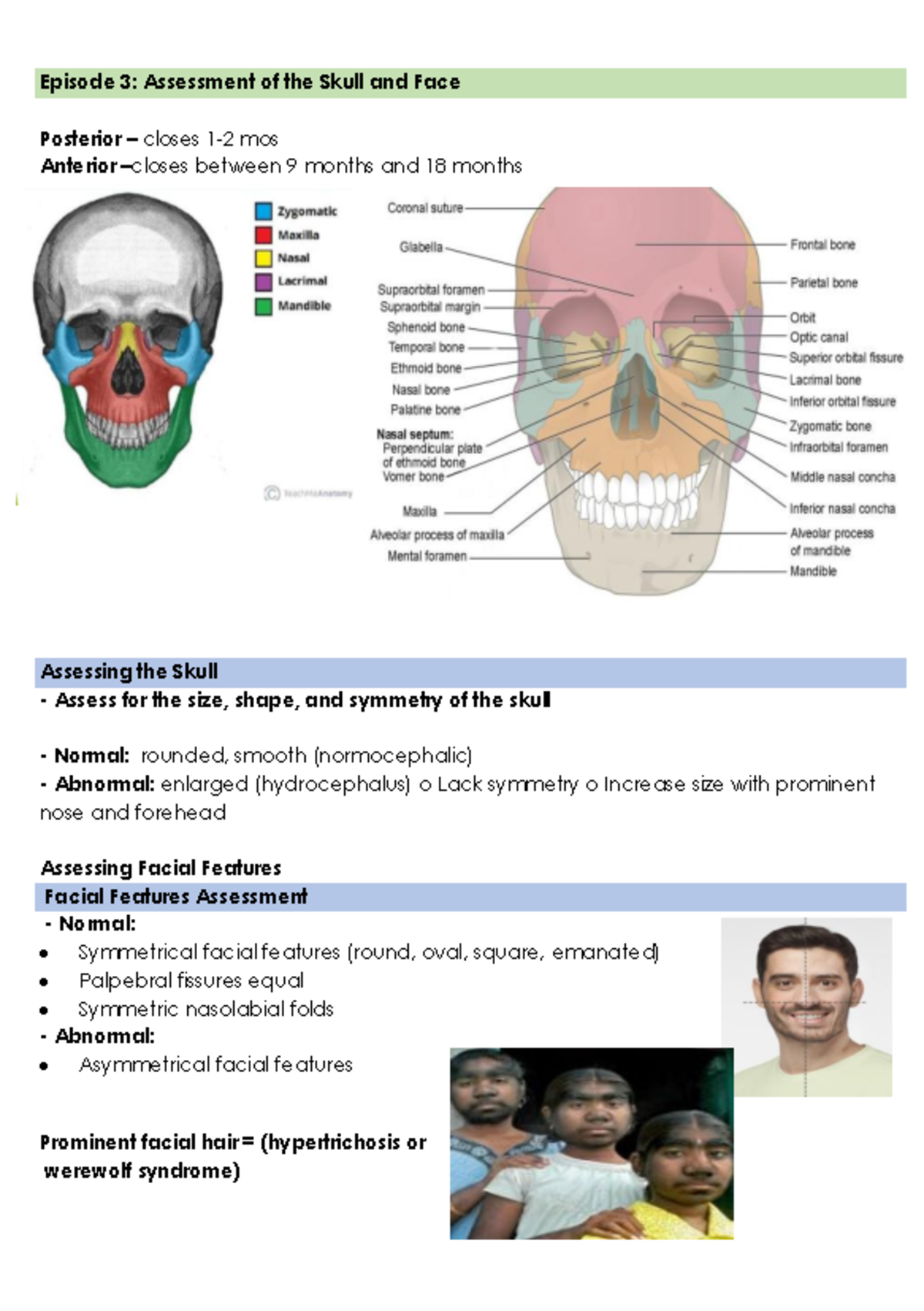 Notes 2 - episode 5 Skull,neck and face - Episode 3: Assessment of the ...