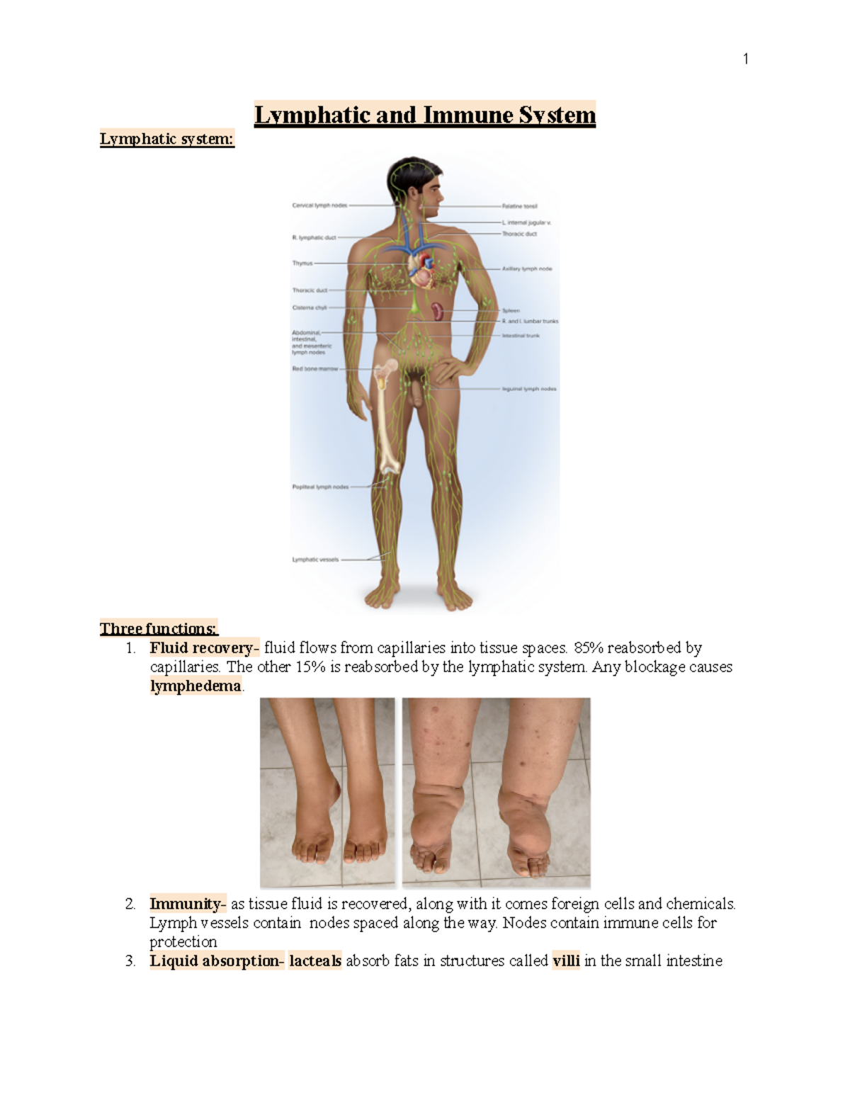 Bio 8 Test 3 - alan hecht bio 8 lecture notes for test 3 - Lymphatic ...