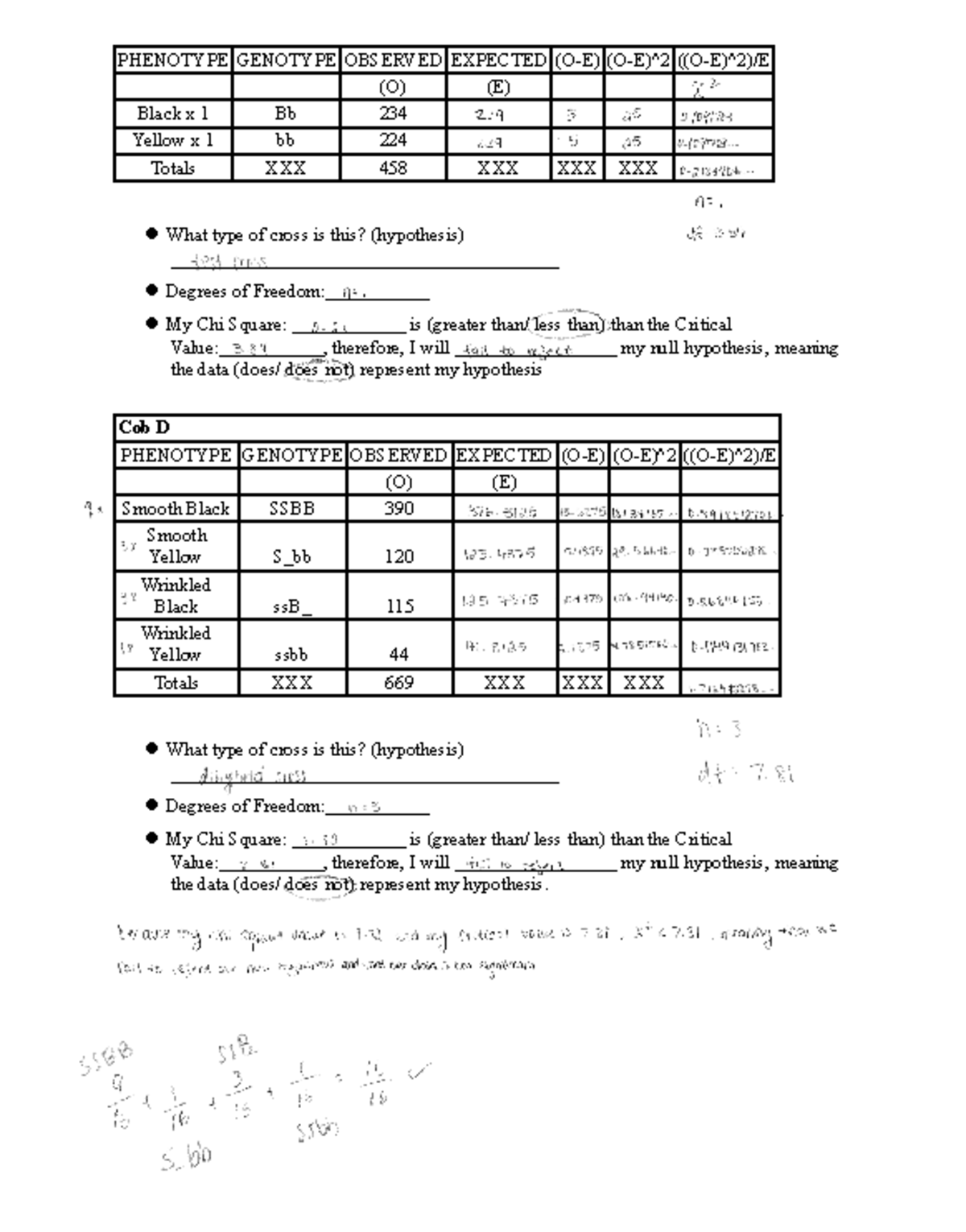 Lab 6: Corn and Onion Chi Square Worksheet Pg 2 - PHENOTYPE GENOTYPE ...