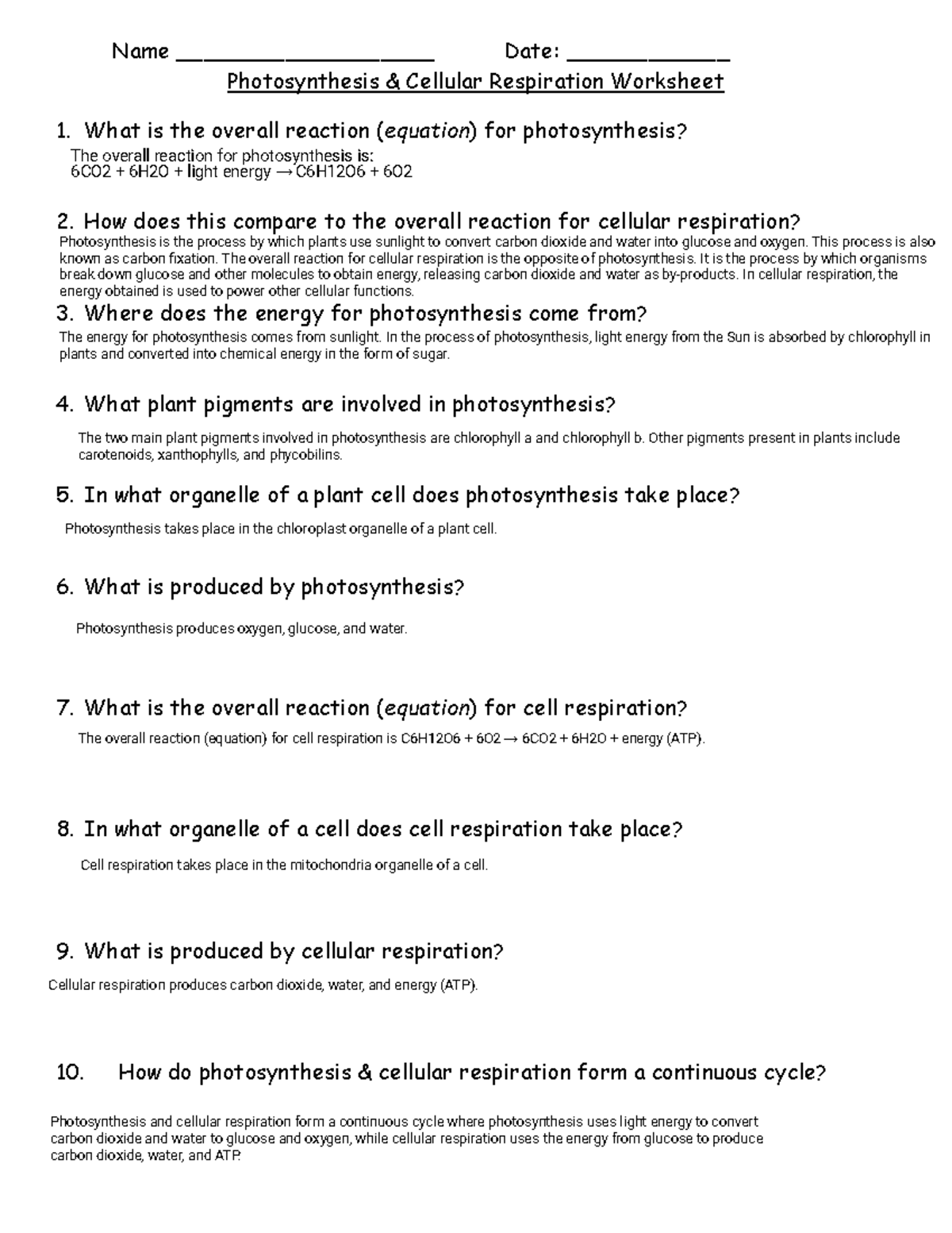 Kami Export - photosynthesis cellular respiration worksheet - Name ...