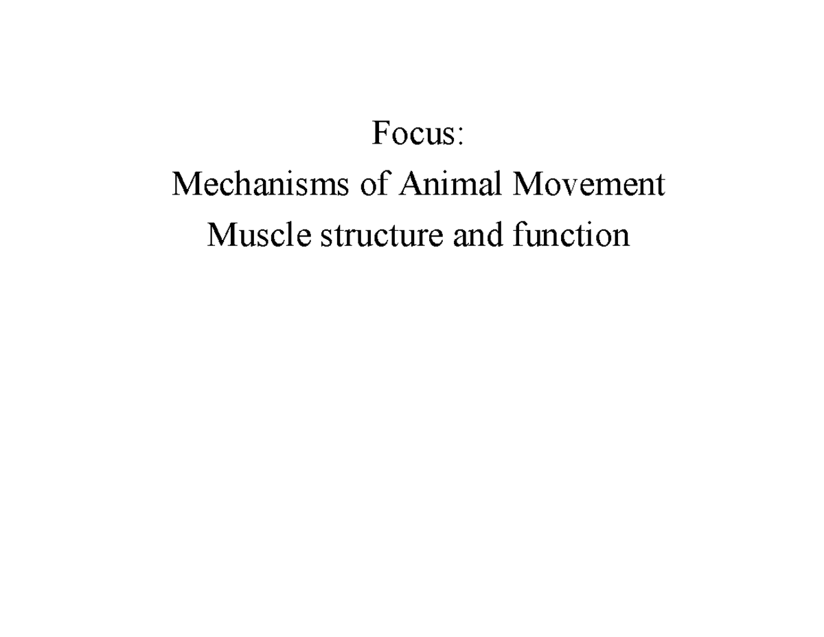 Muscle and movemen - Focus: Mechanisms of Animal Movement Muscle ...