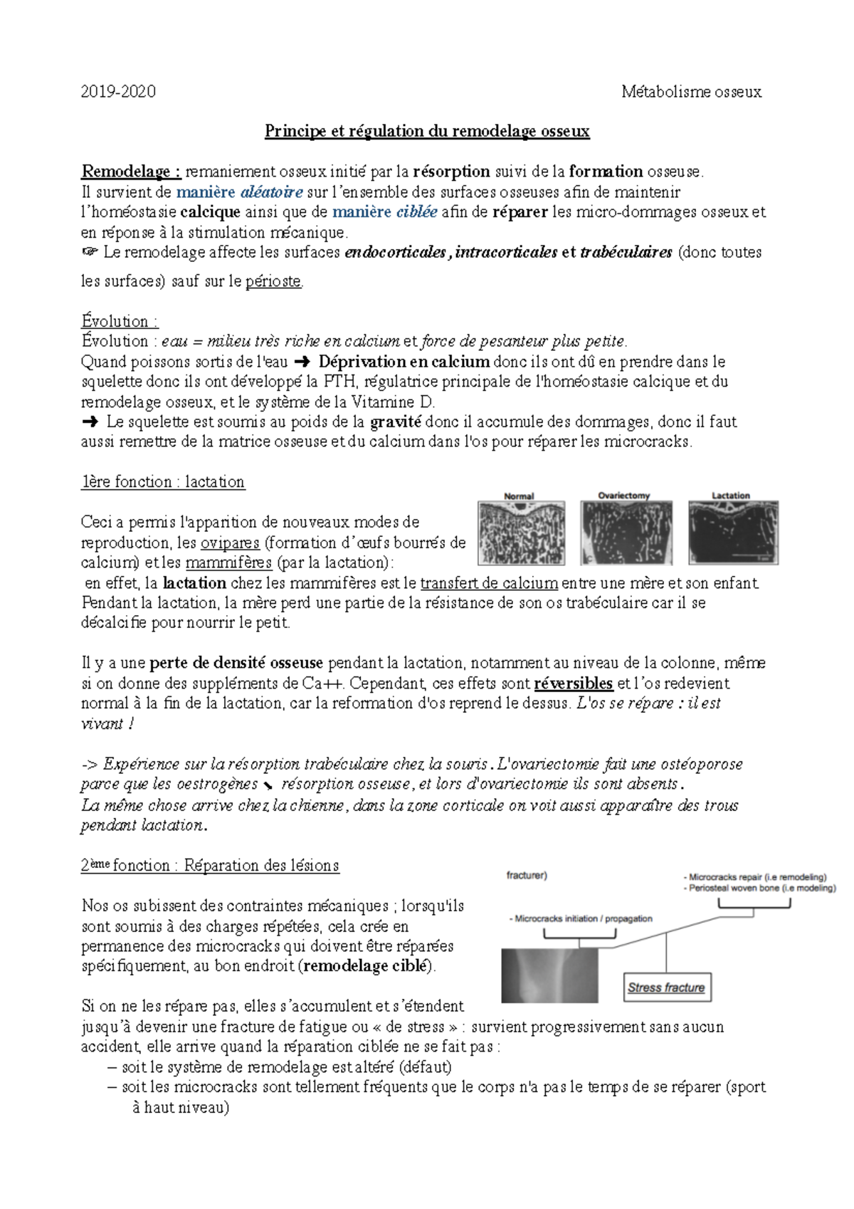 Métab osseux remodelage - Warning: Error during font loading: XMLHttpRequest is not defined ...