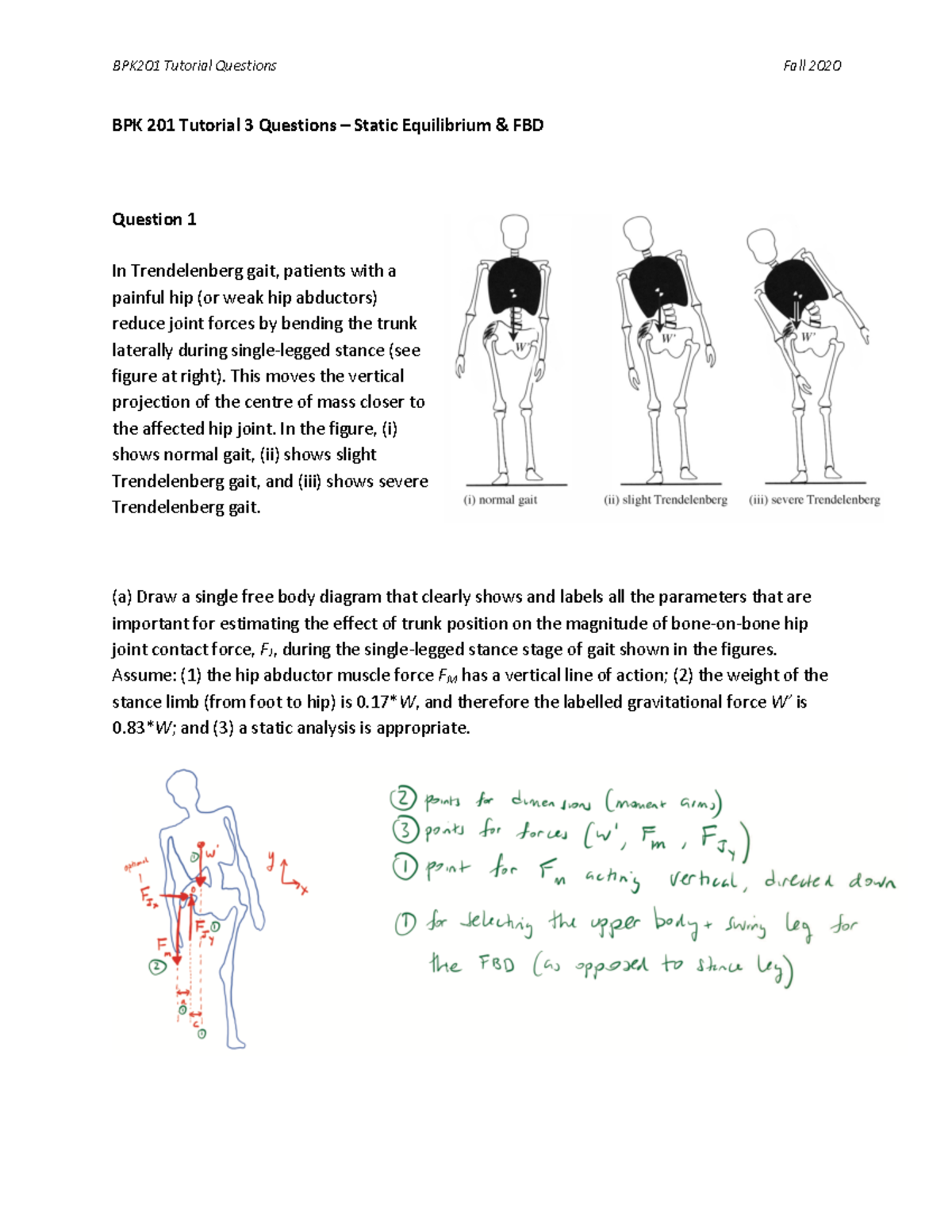 Tutorial 3 BPK 201 Questions Static Eq FBD Answer Key - BPK 201 ...