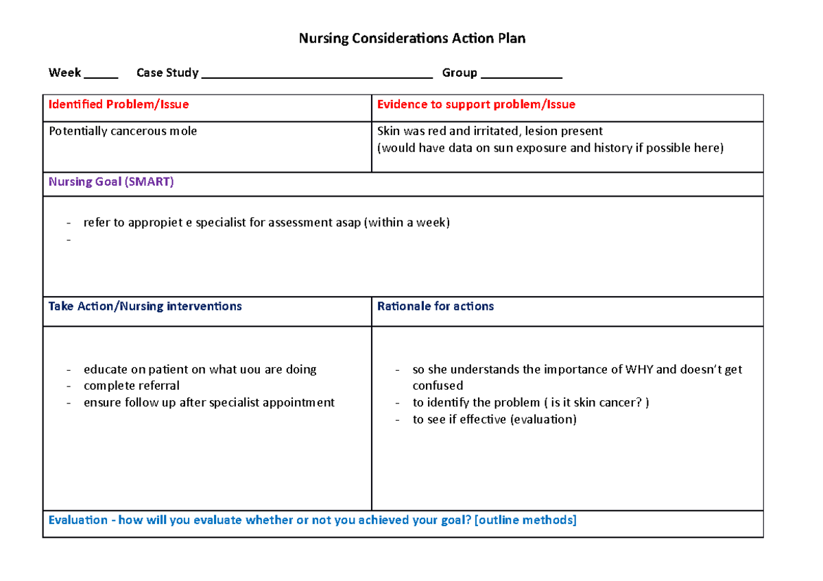 Nursing Considerations Action Plan Template - Nursing Considerations ...