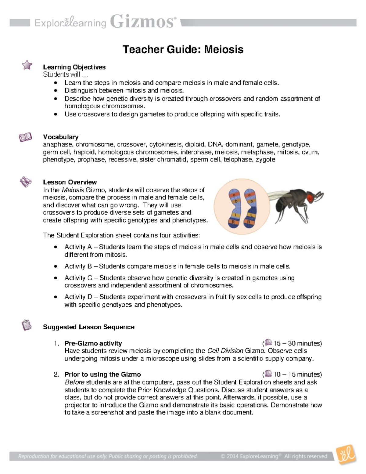 Meiosis TG - mitosis - Teacher Guide: Meiosis Learning Objectives ...