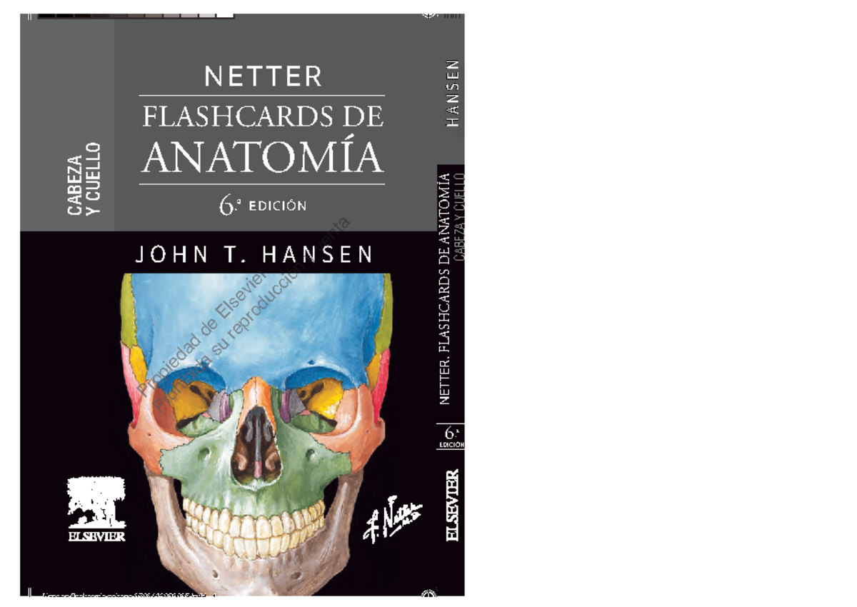 Huesos cráneo y cara - NETTER. FLASHCARDS DE ANATOMÍA CABEZA Y CUELLO ...