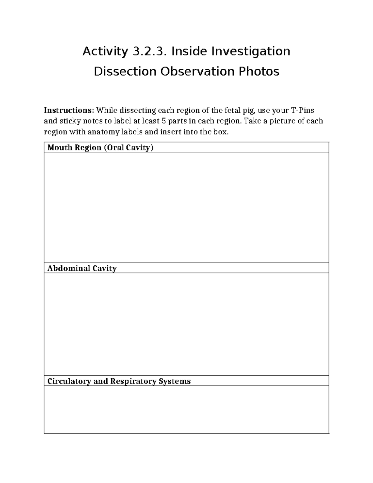 Copy of Copy of Darla Romberger - Dissection Observation Sheet ...