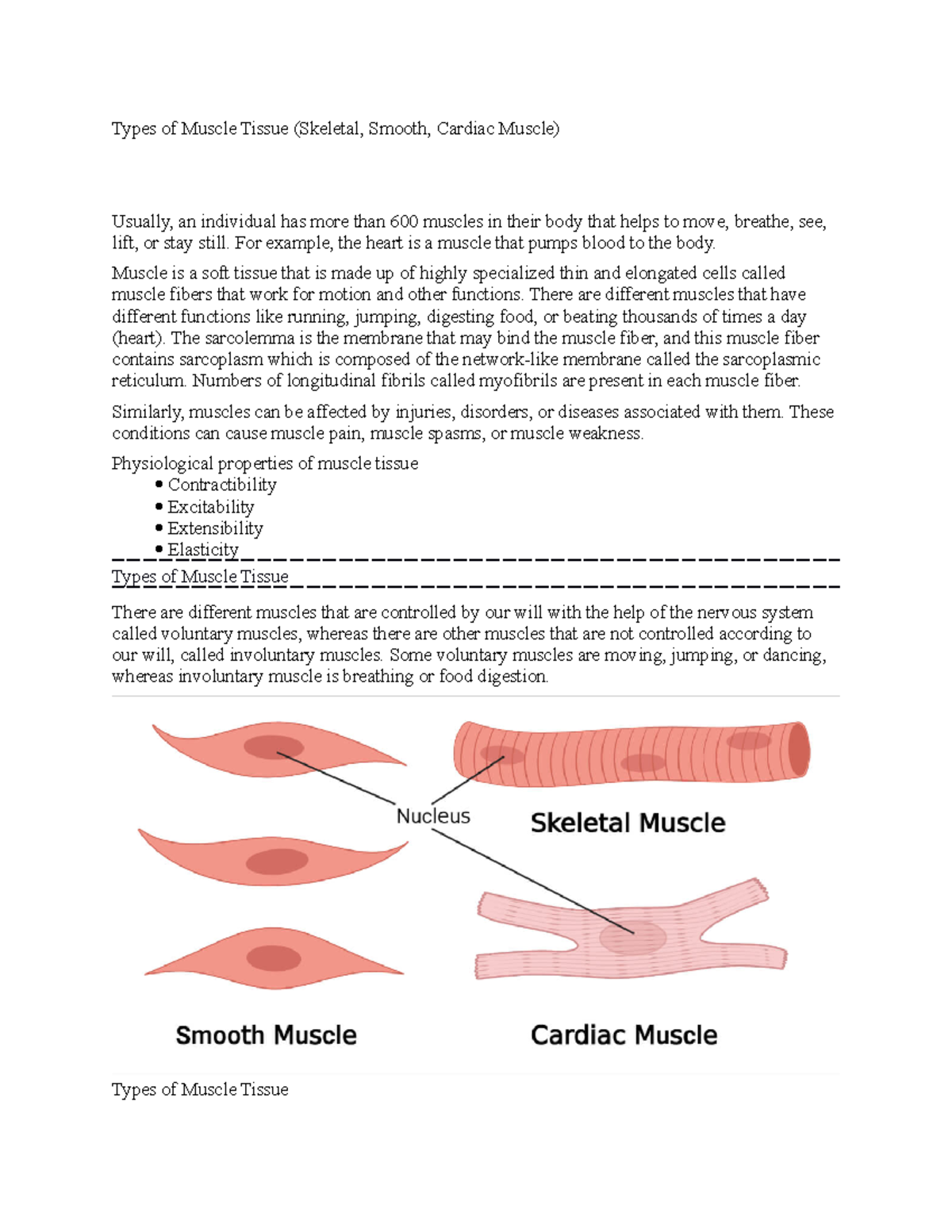 Types of Muscle Tissue (Skeletal, Smooth, Cardiac Muscle) - For example ...