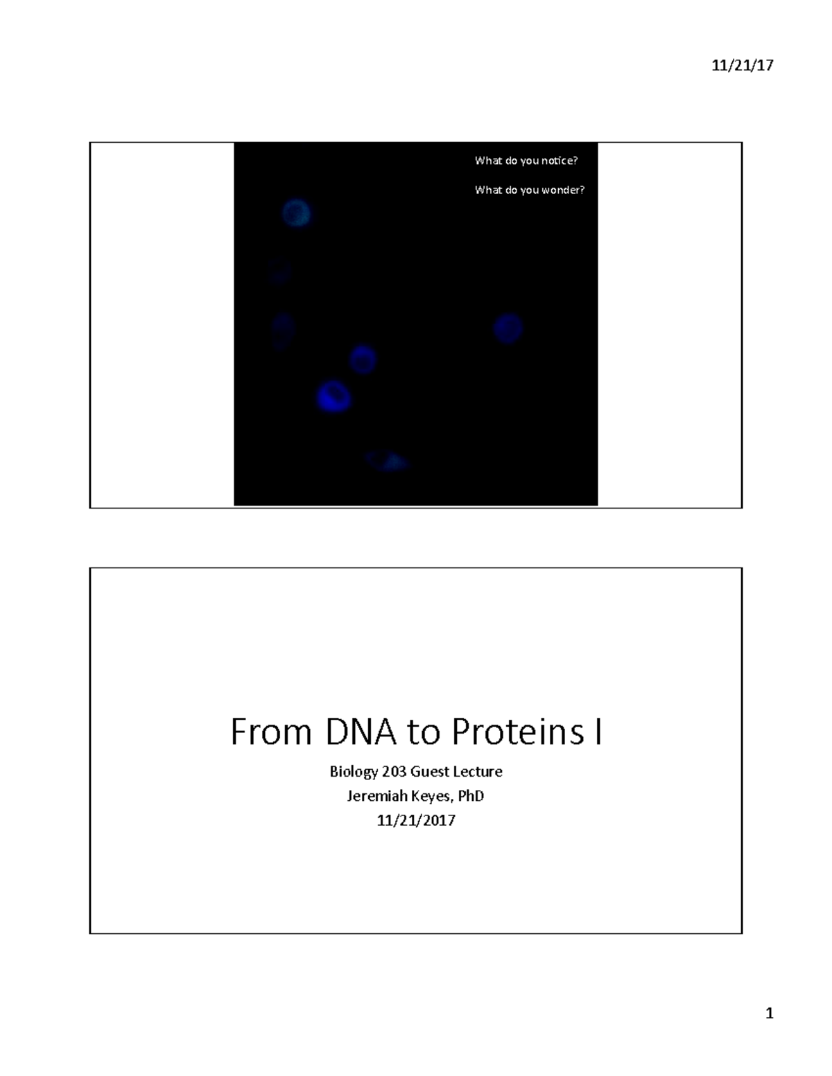 Lecture 20- Ch 17 DNA to proteins 1 - What do you no/ce? What do you ...