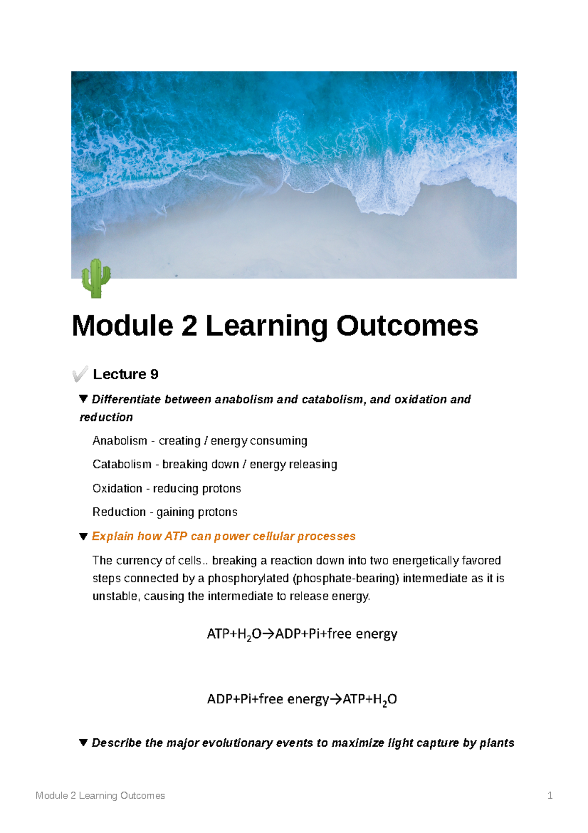 Module 2: Energy Systems and Cells - Complete Learning Outcomes ...