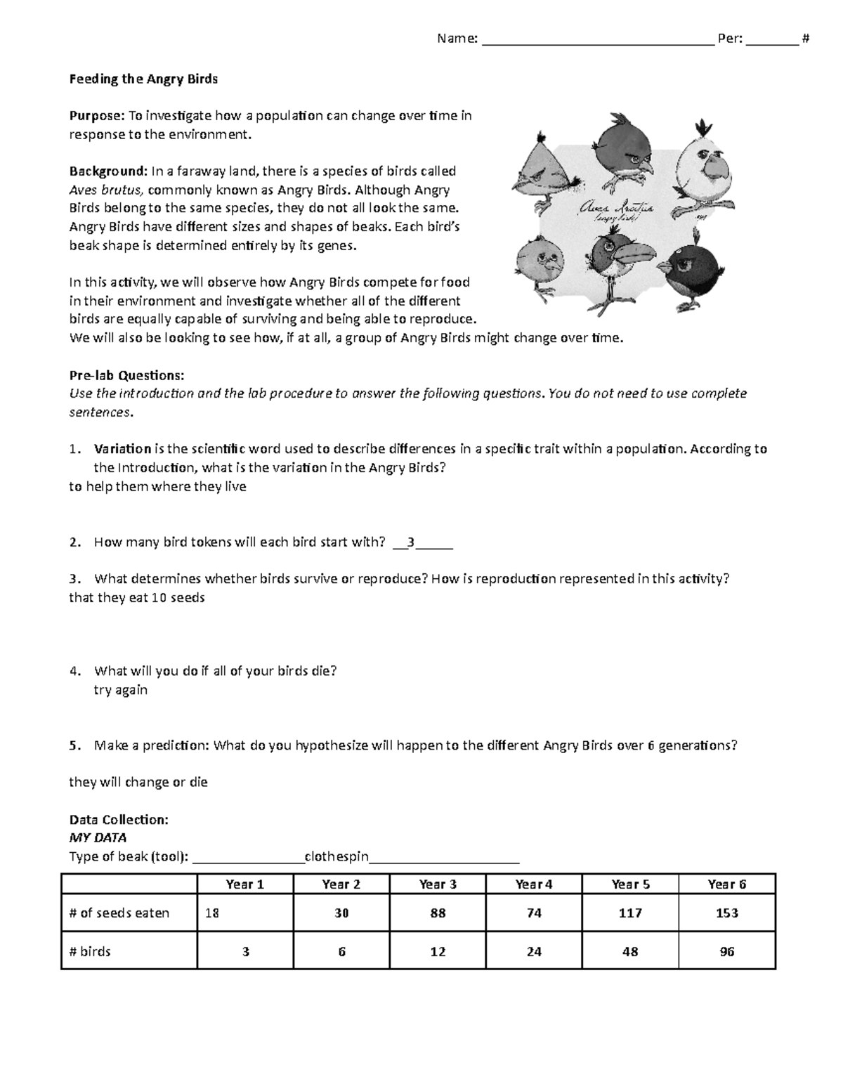 angry birds - biology Assignment - Feeding the Angry Birds Purpose: To ...