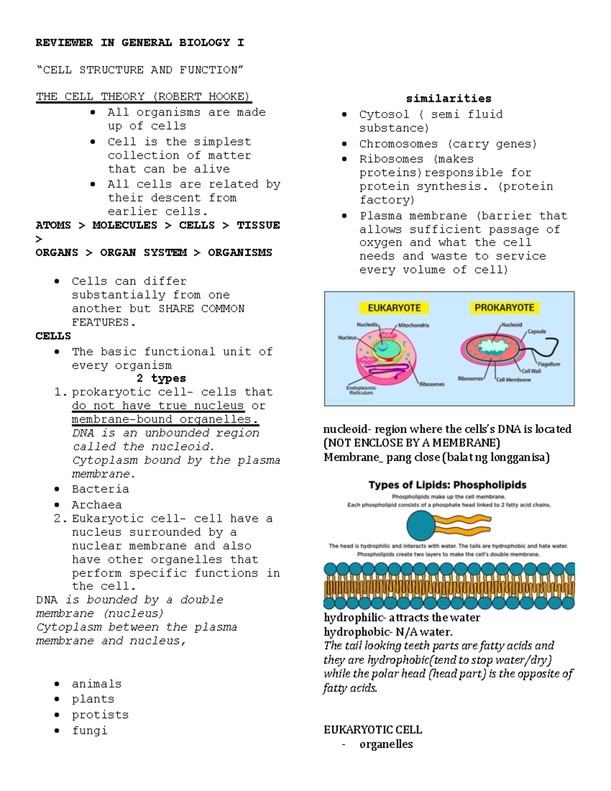 Biology 101 cell review - Warning: TT: undefined function: 32 REVIEWER ...