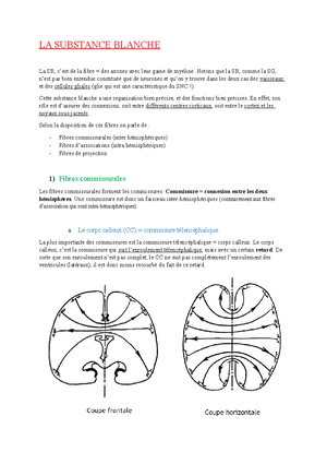 ANATOMIE DU TRONC - CHAPITRE 1 LES PAROIS DU TRONC Qu’est-ce que le ...
