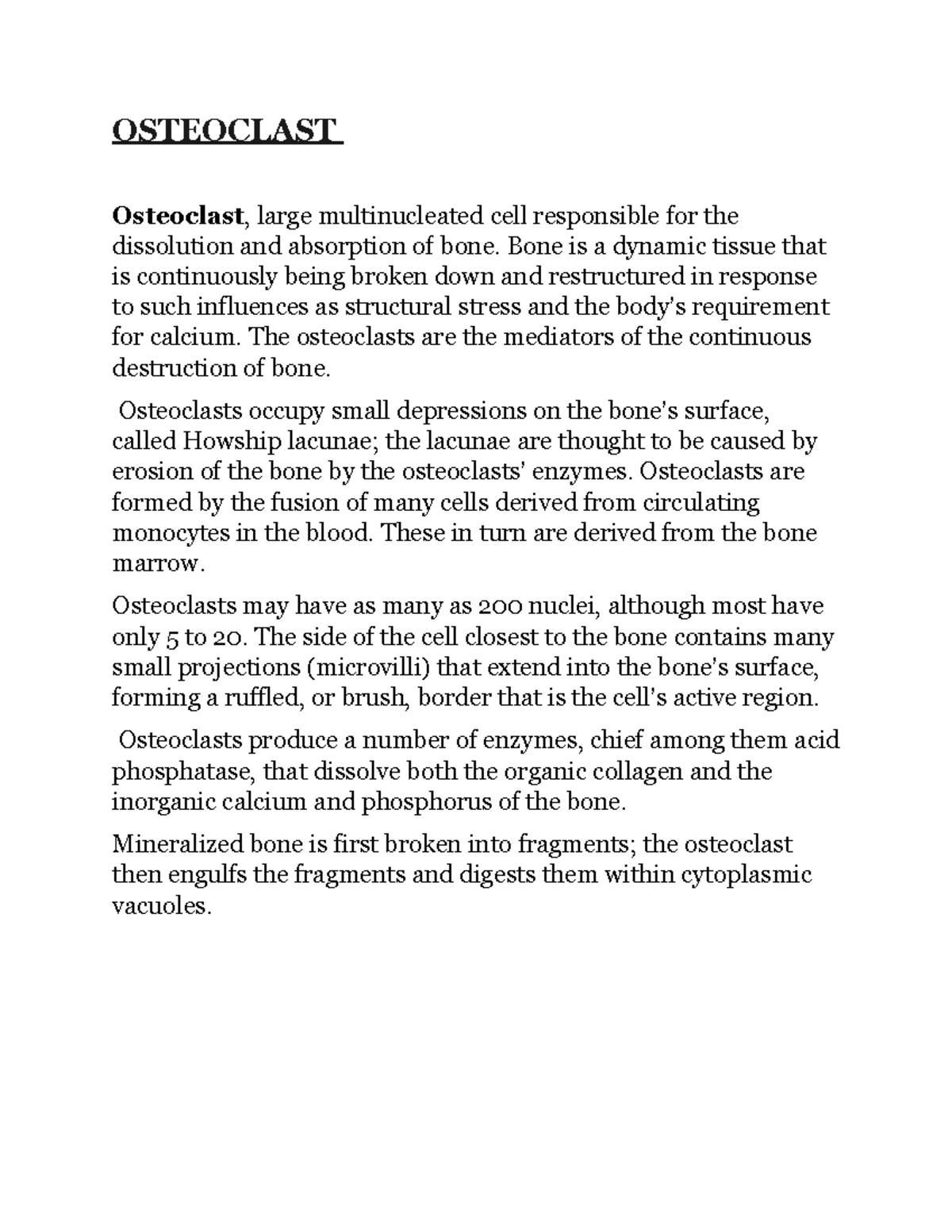 Osteoclast - Large multinucleated cell responsible for the dissolution ...