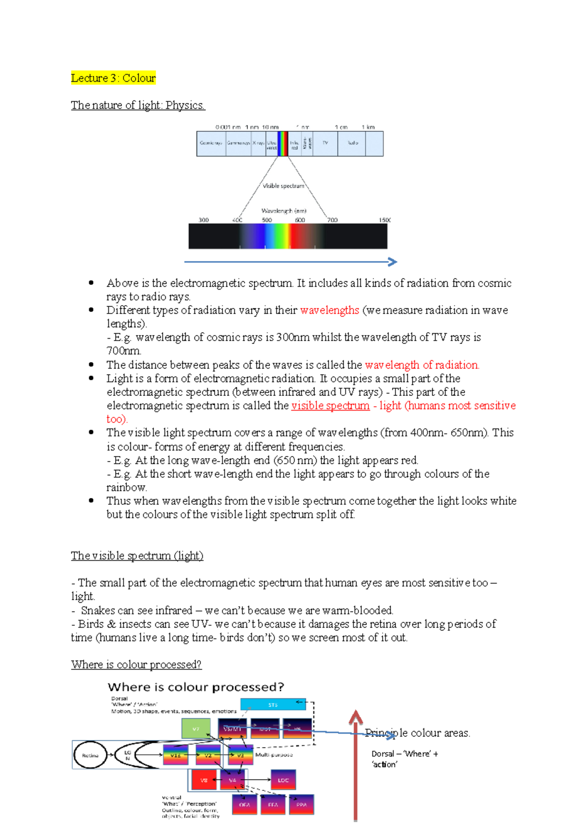 Lecture 3- Visual Perception - Lecture 3: Colour The nature of light ...
